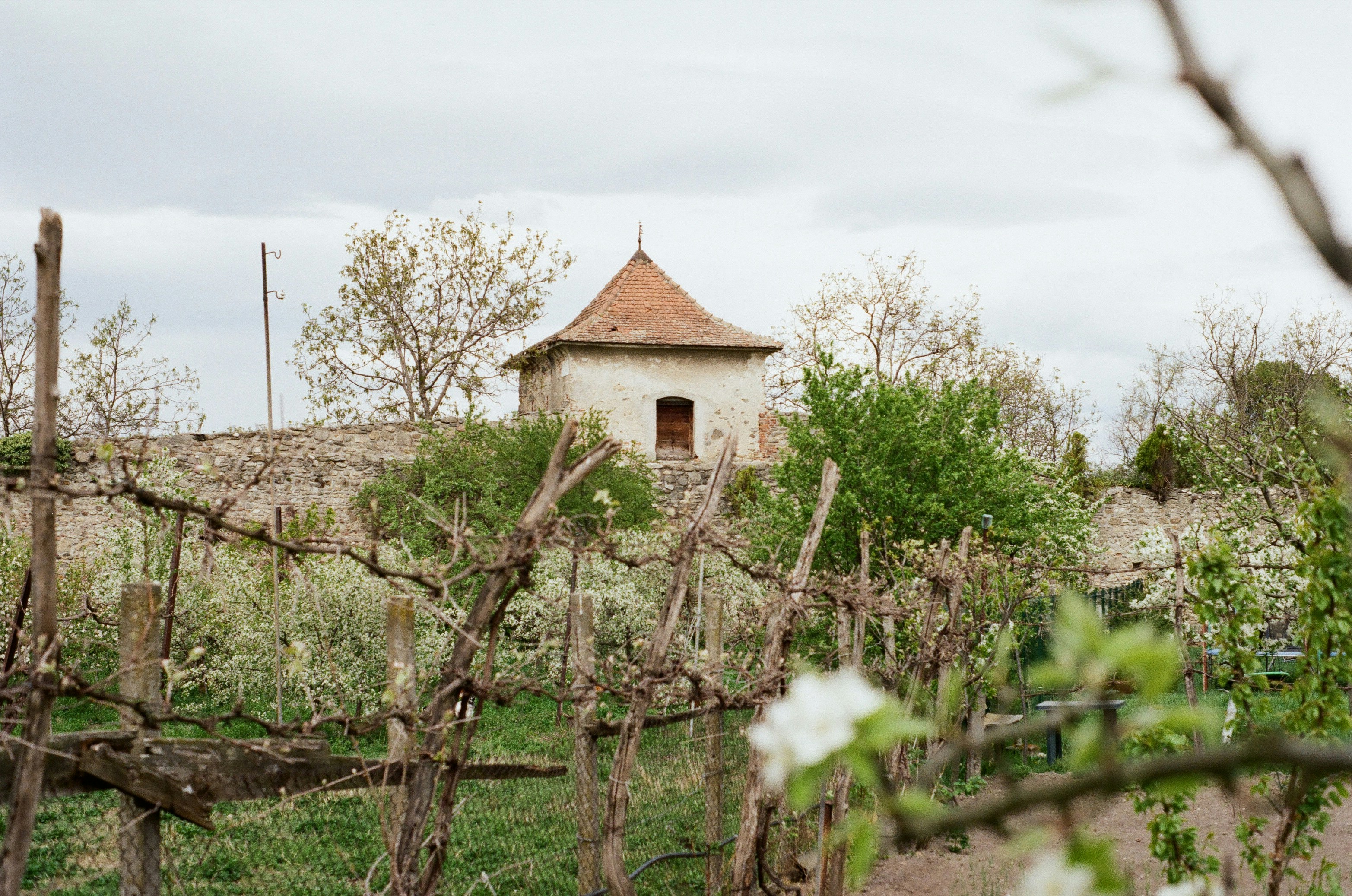 Pleasant Shoot on Kodak ProImage 100