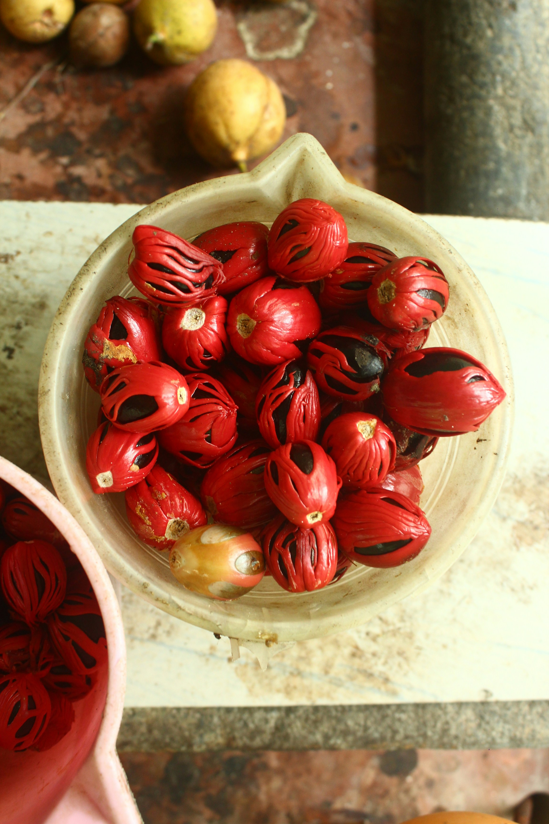 Scarlet Seed Clusters in a Weathered Ceramic Bowl