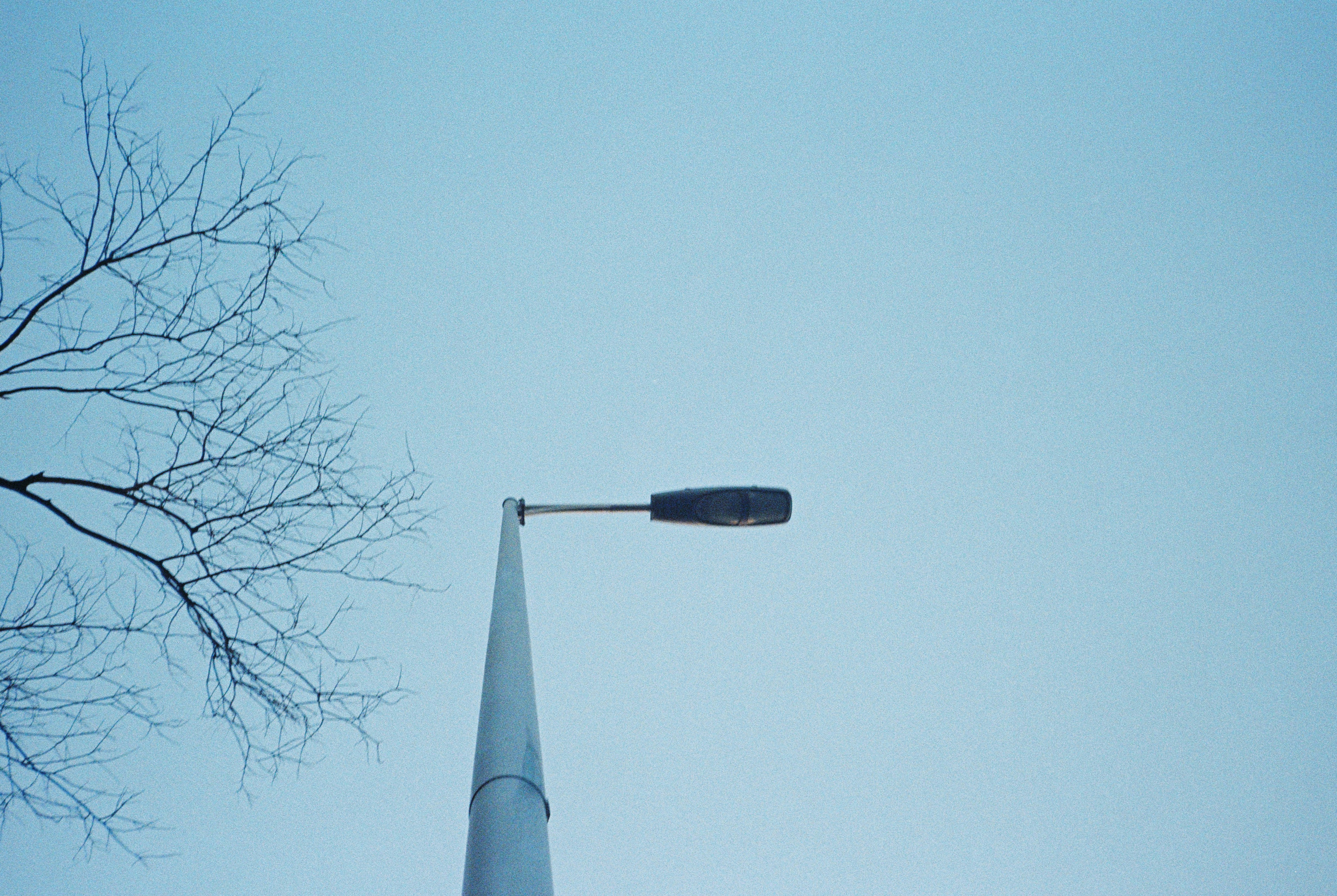 Lone Streetlamp Under a Calm Blue Sky, Framed by Bare Branches