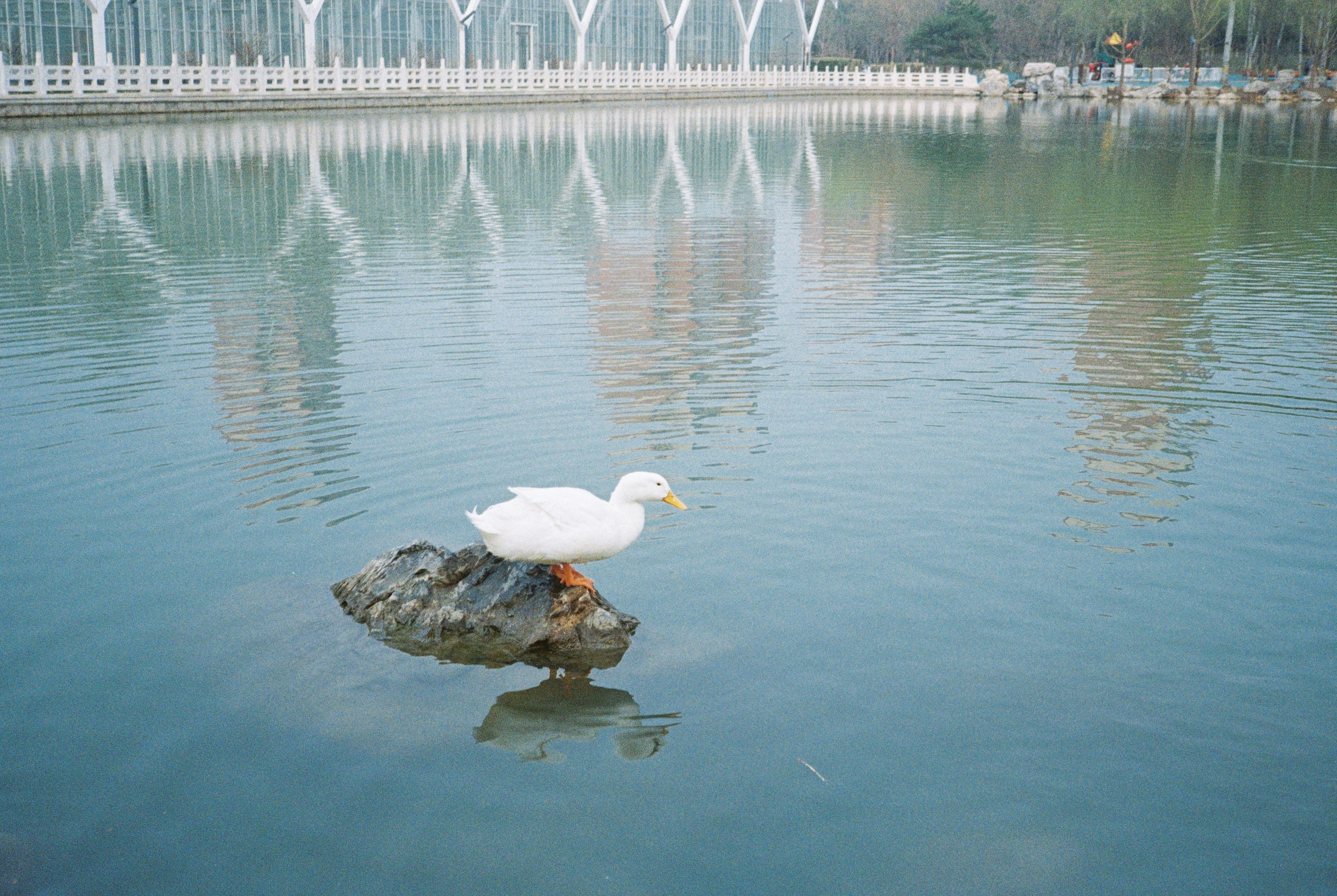 Photo by krzhck with Fujifilm SP-3000