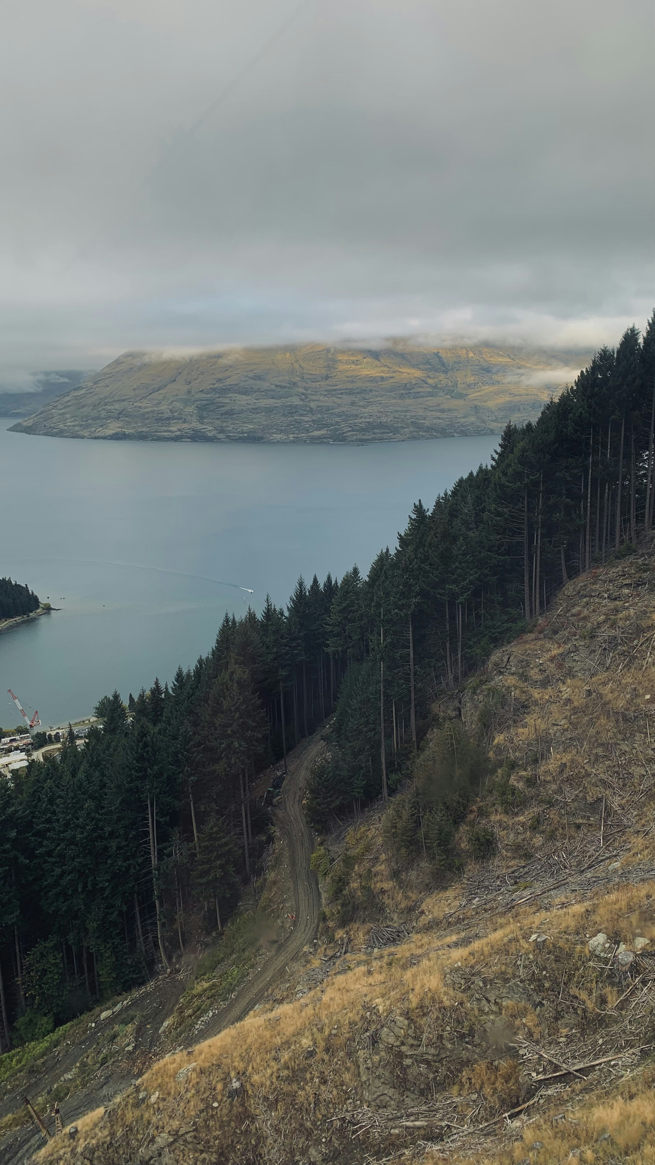Serene Fjord Overlook: Cliffside Pines Beneath Misty Clouds
