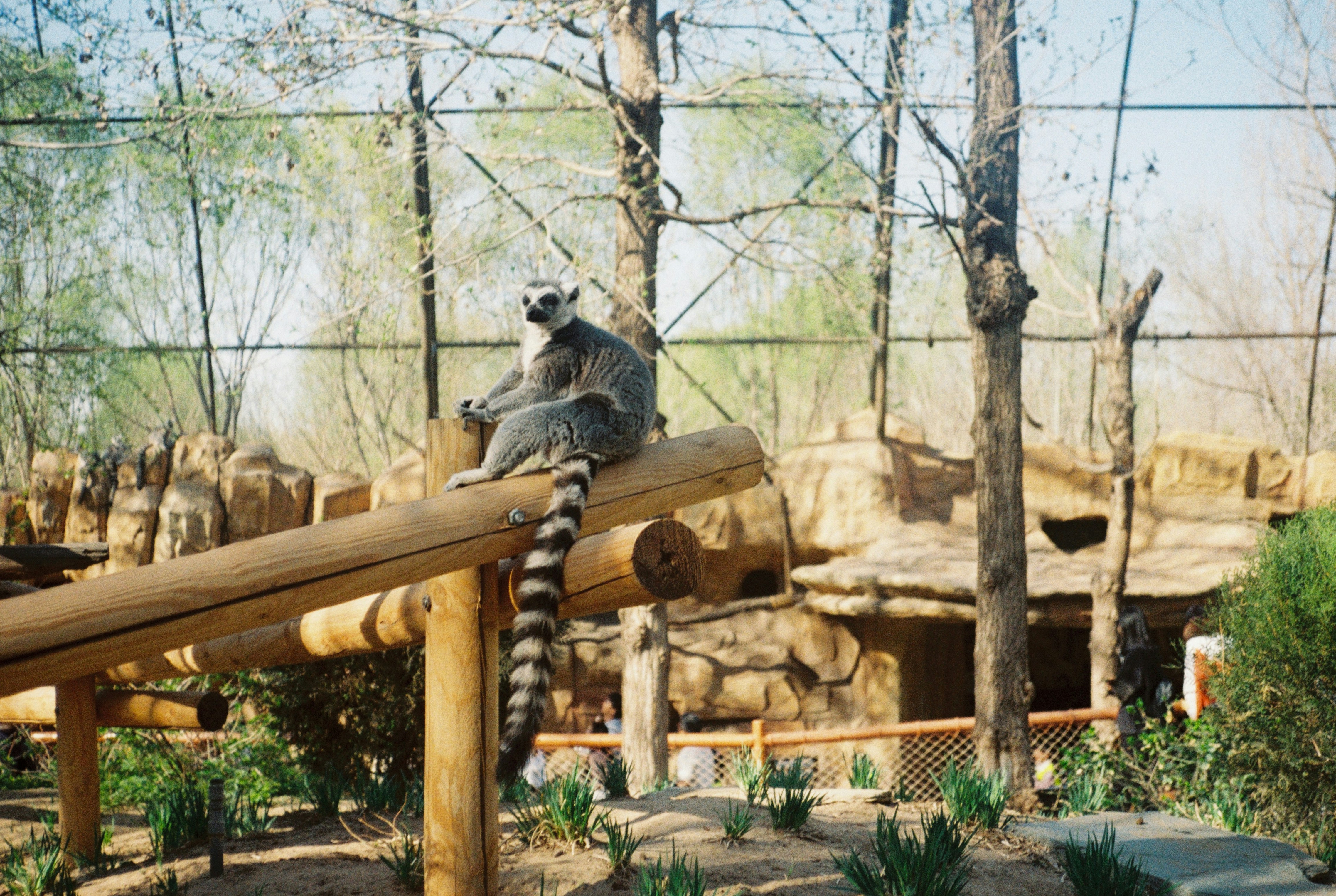 Photo by krzhck with Fujifilm SP-3000