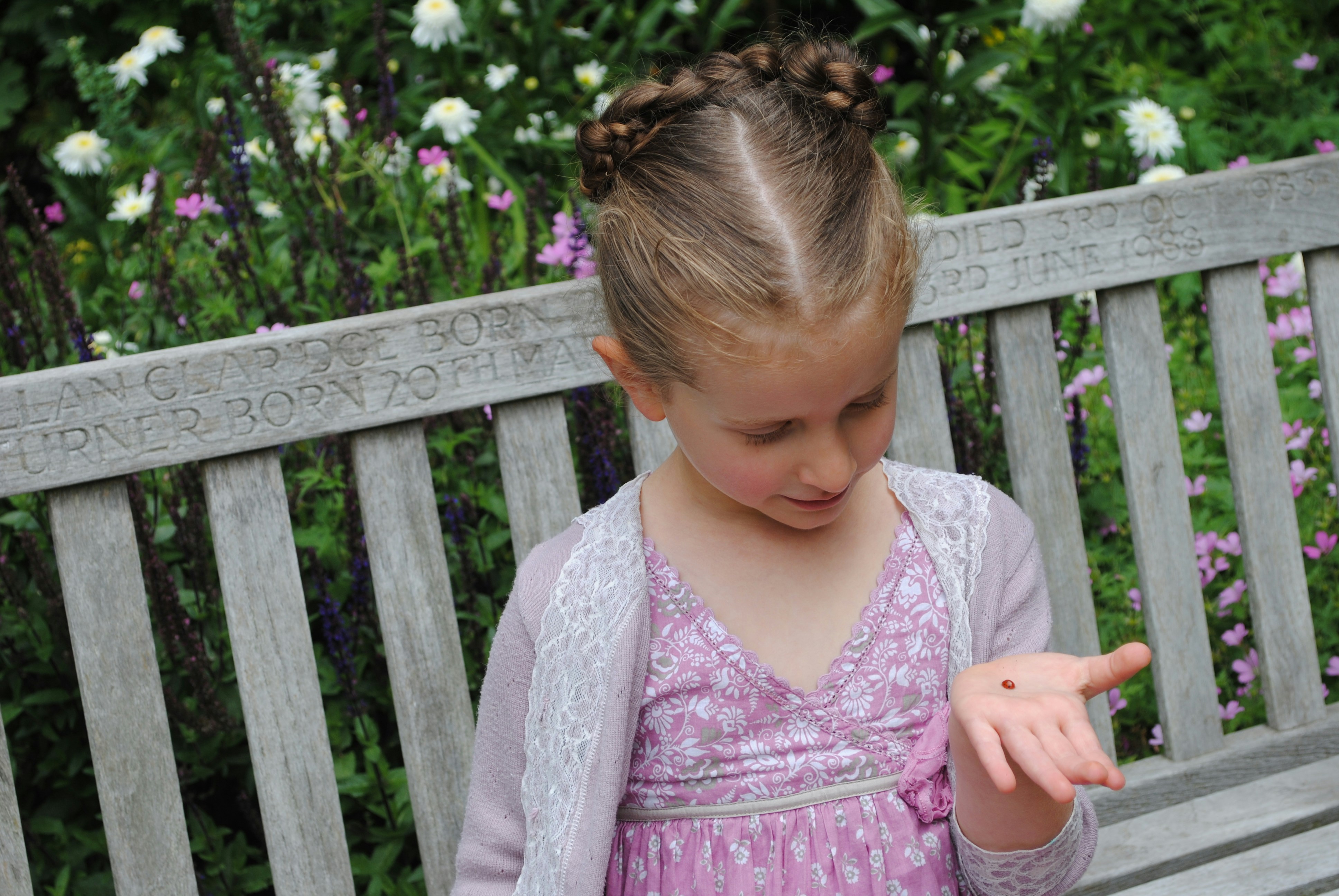 Garden Bench Whispers: A Little Girl's Quiet Gesture Among Blooming Colors