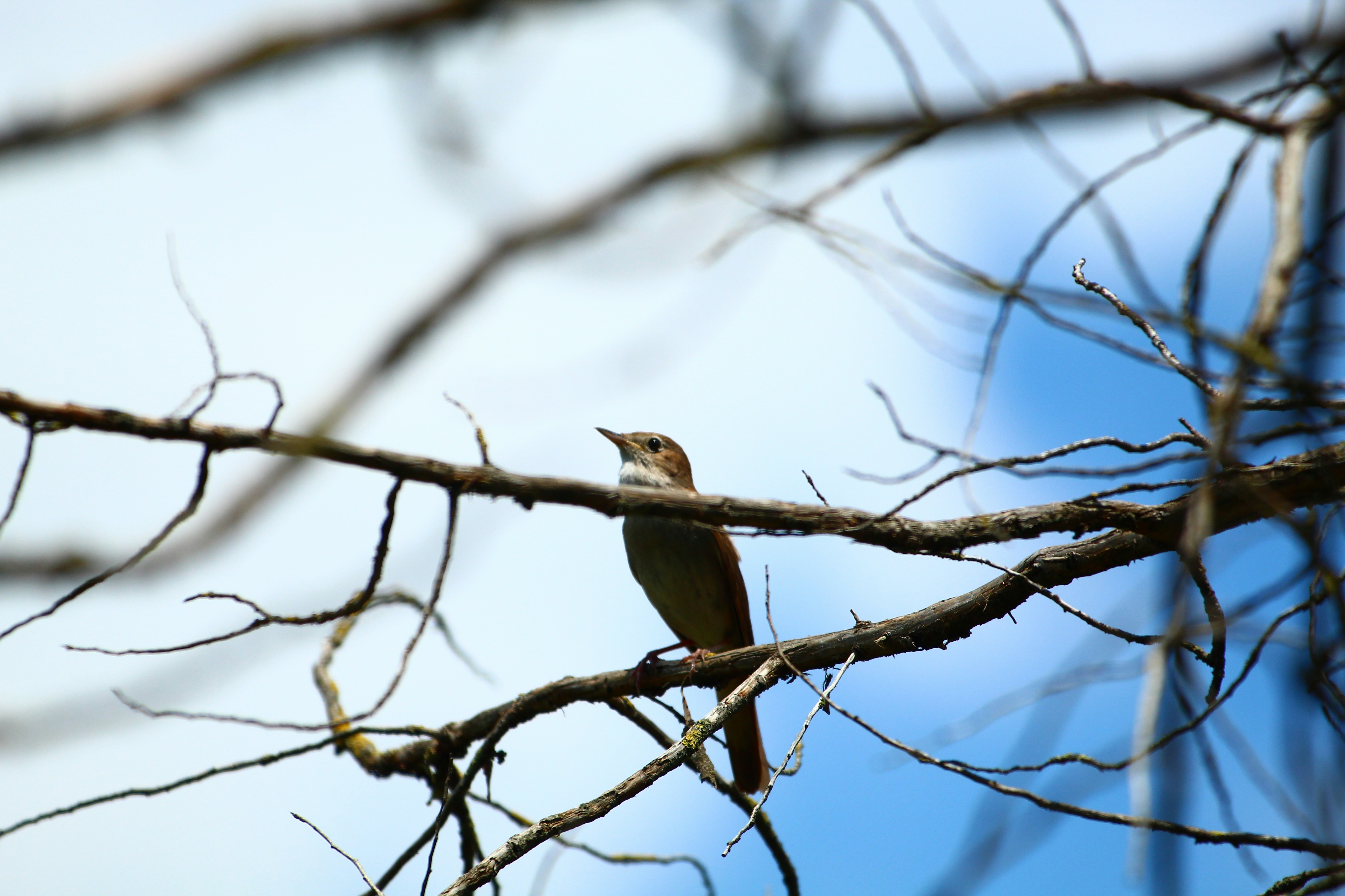 Photo by Seval Torun with Canon EOS 4000D