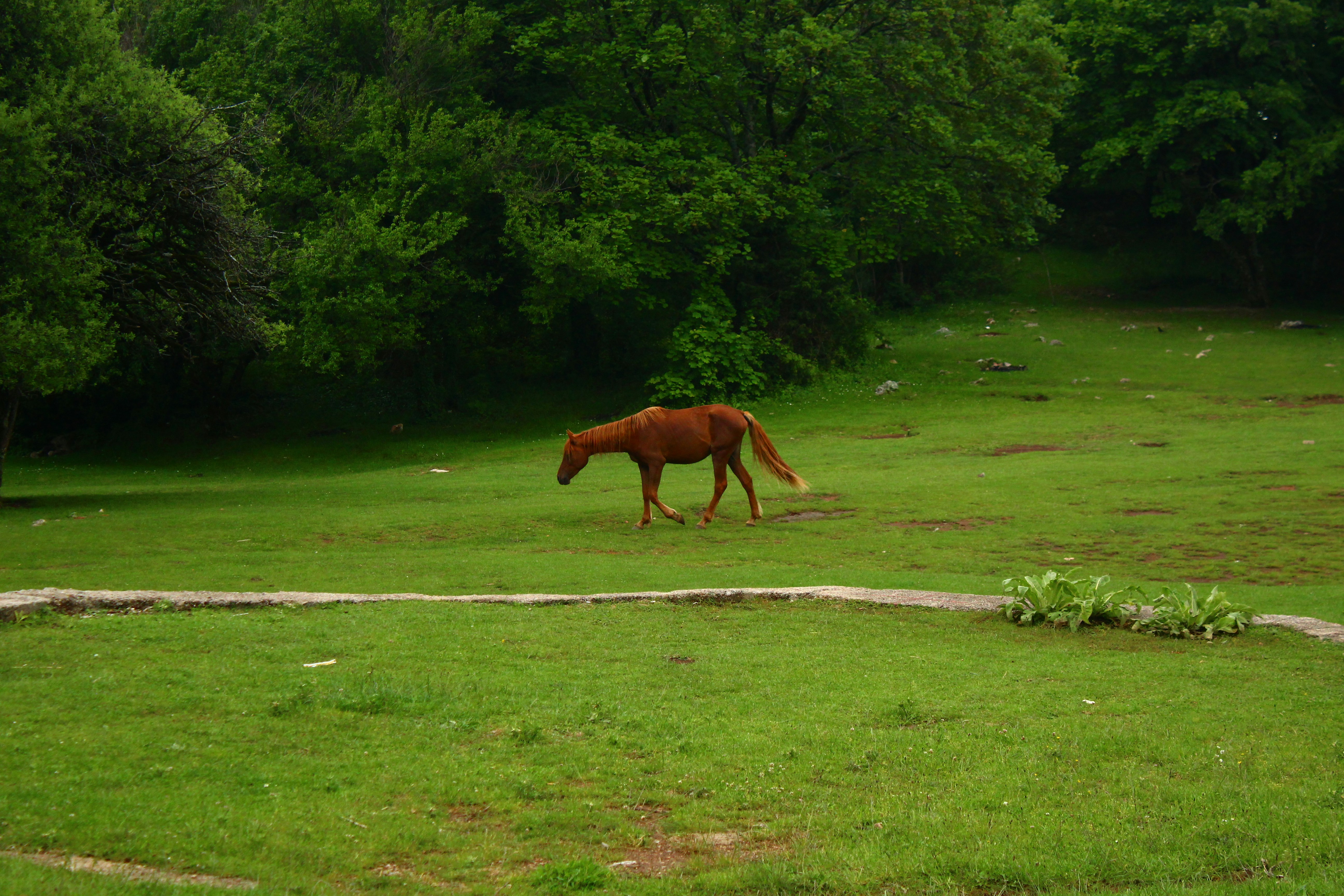 Photo by Seval Torun with Canon EOS 4000D