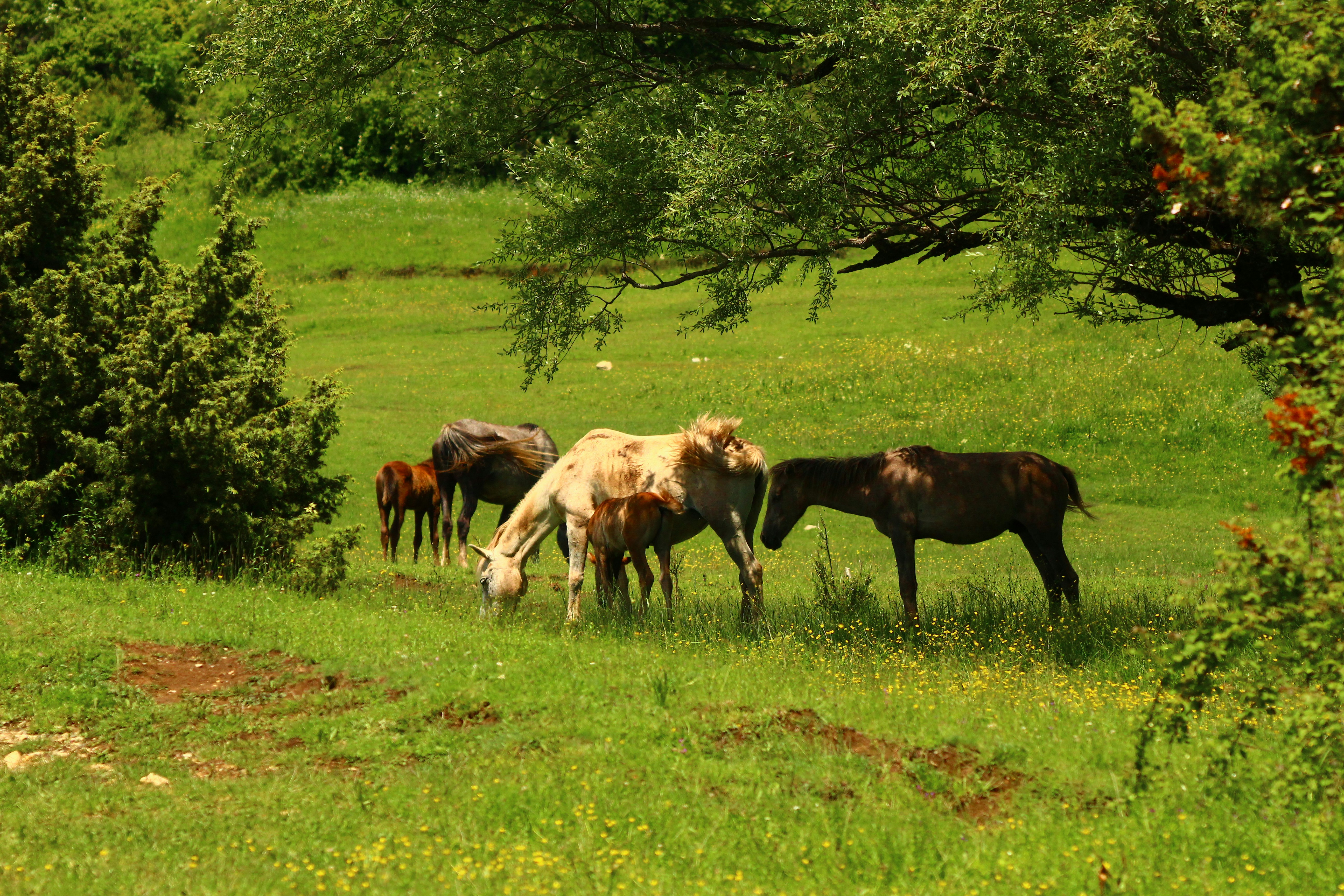 Photo by Seval Torun with Canon EOS 4000D