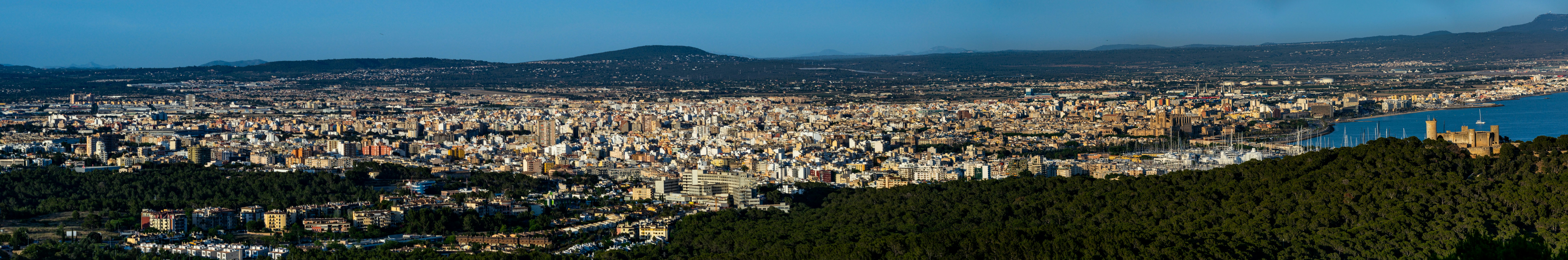 Harborbound Panorama: Hillside View of a Coastal City Under a Clear Sky
