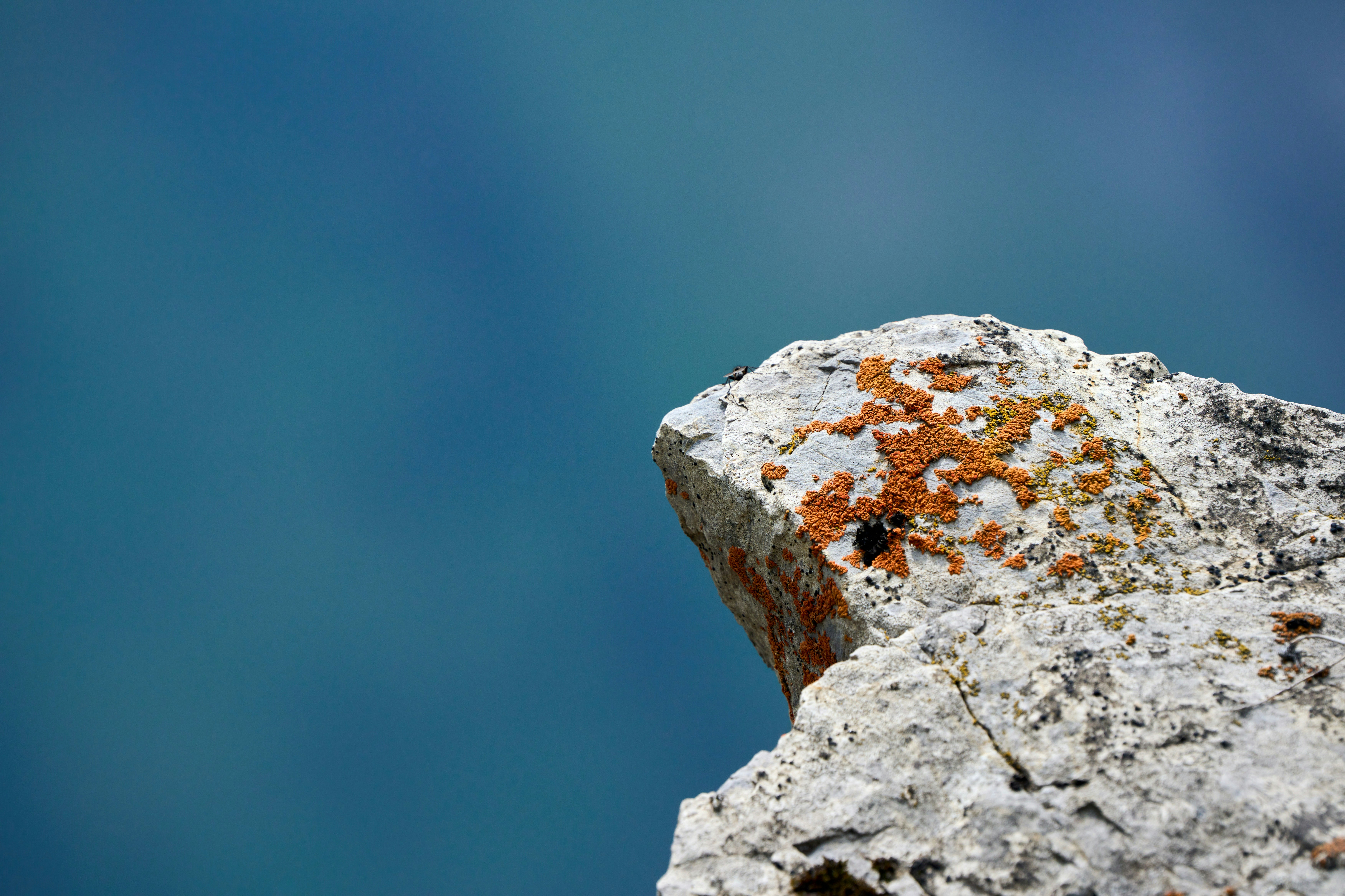 A close up of a rock with a blue sky in the background photo – Free ...