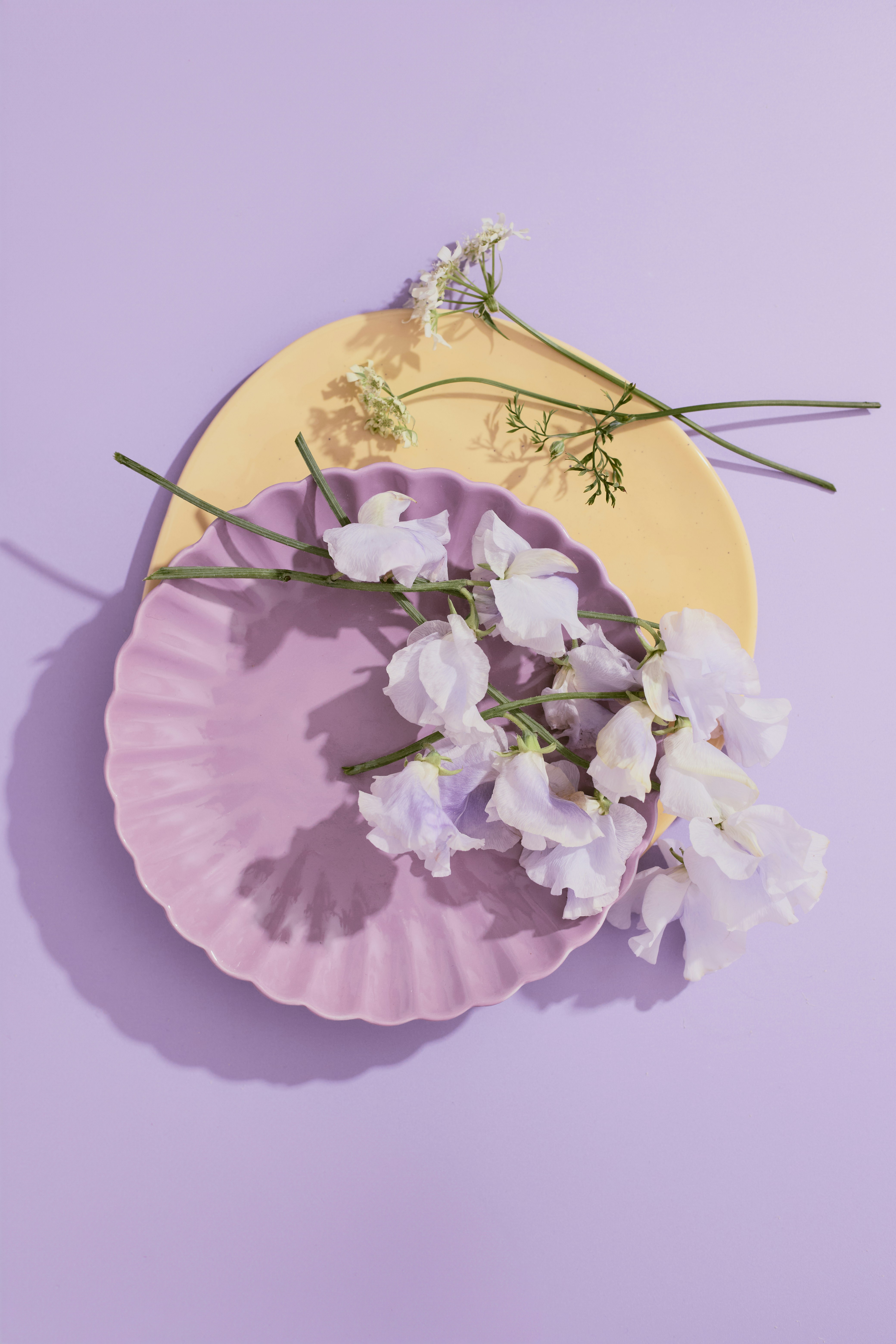 Plates Pictures | Download Free Images on Unsplash