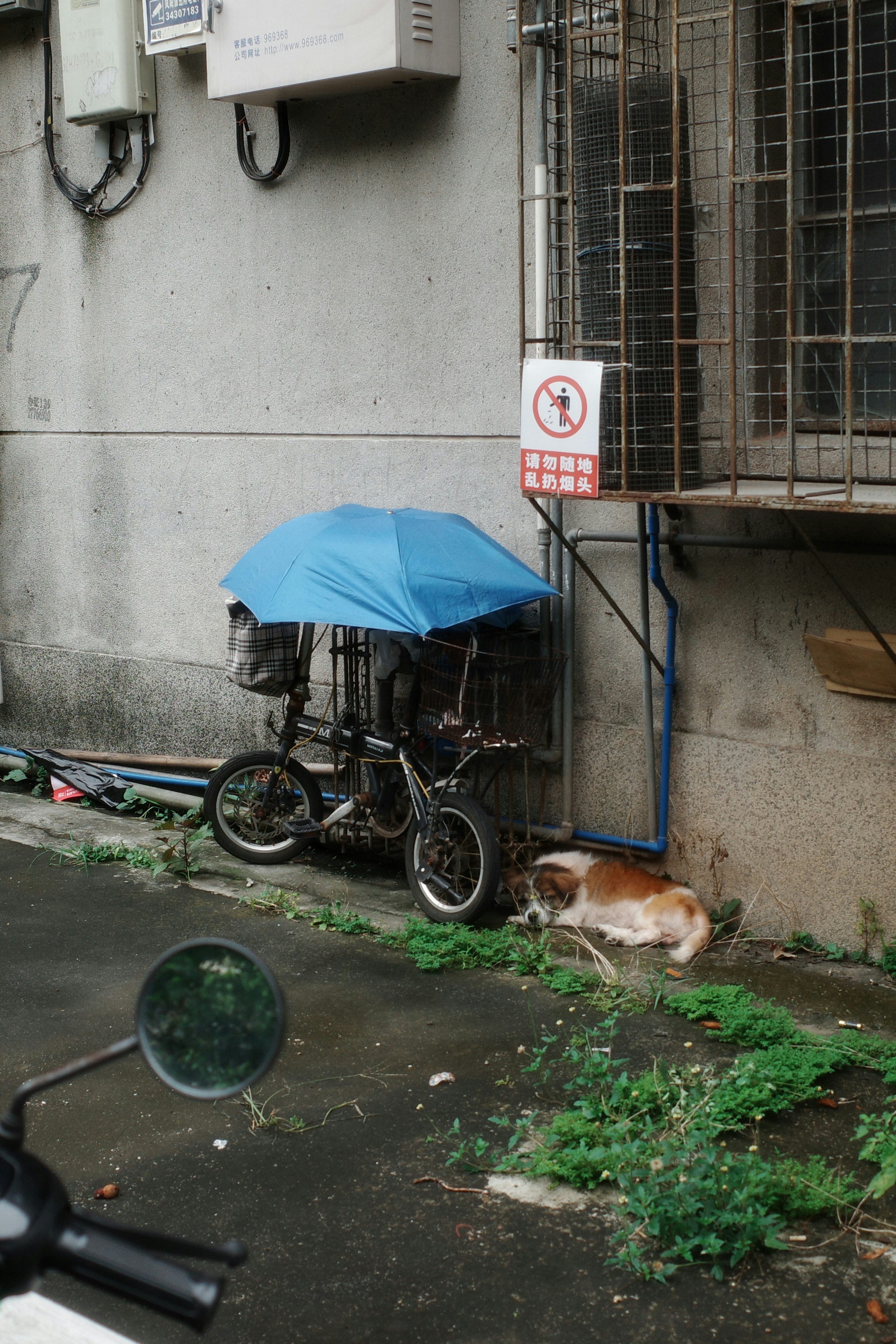 Photo by Jarvis Ng with Ricoh GR III HDF