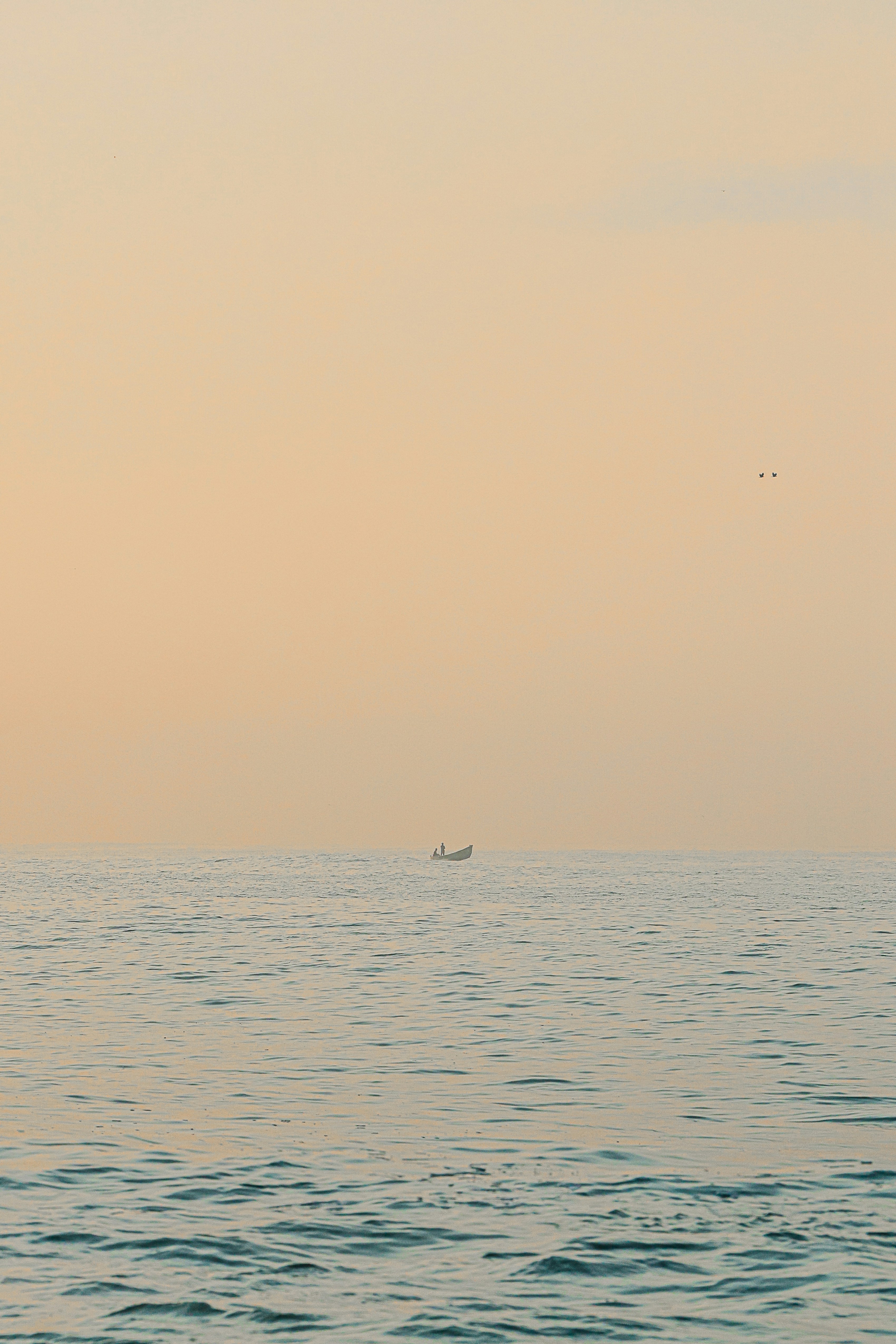 30,000+ Arabian Sea Pictures | Download Free Images on Unsplash