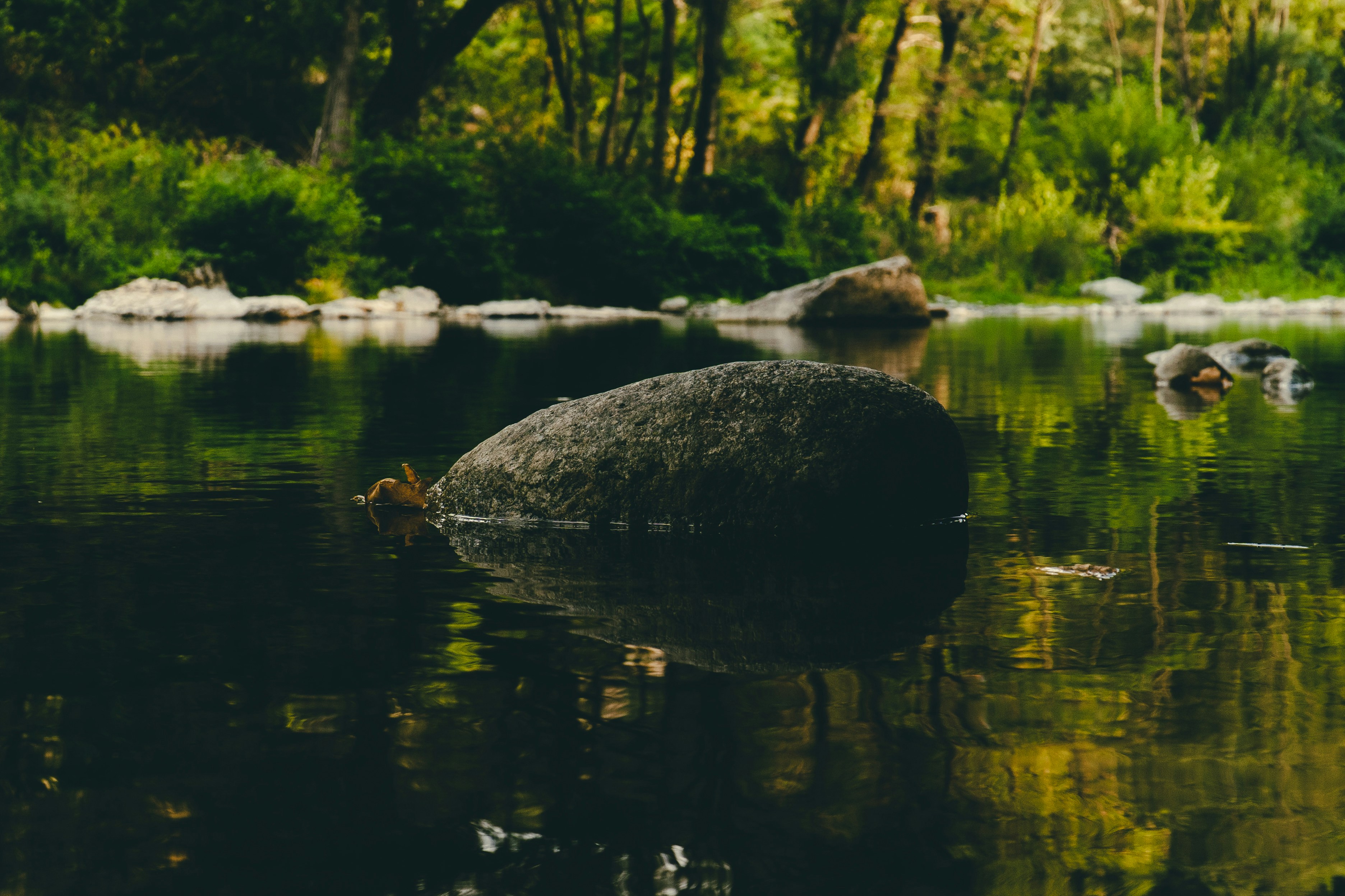 Stillness in the River: A Lone Rock Framed by Green Reflections