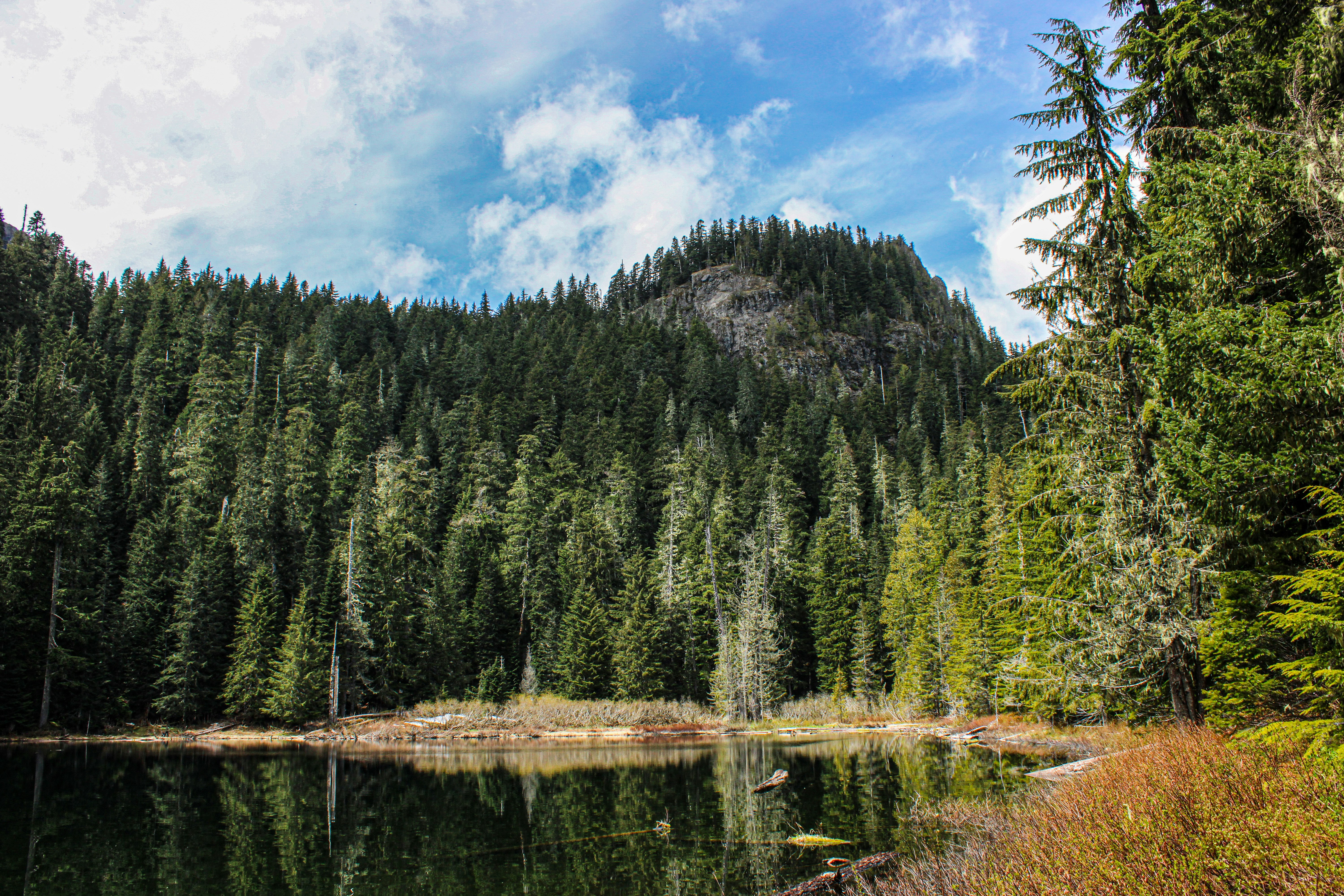 A lake surrounded by a forest with a mountain in the background photo ...