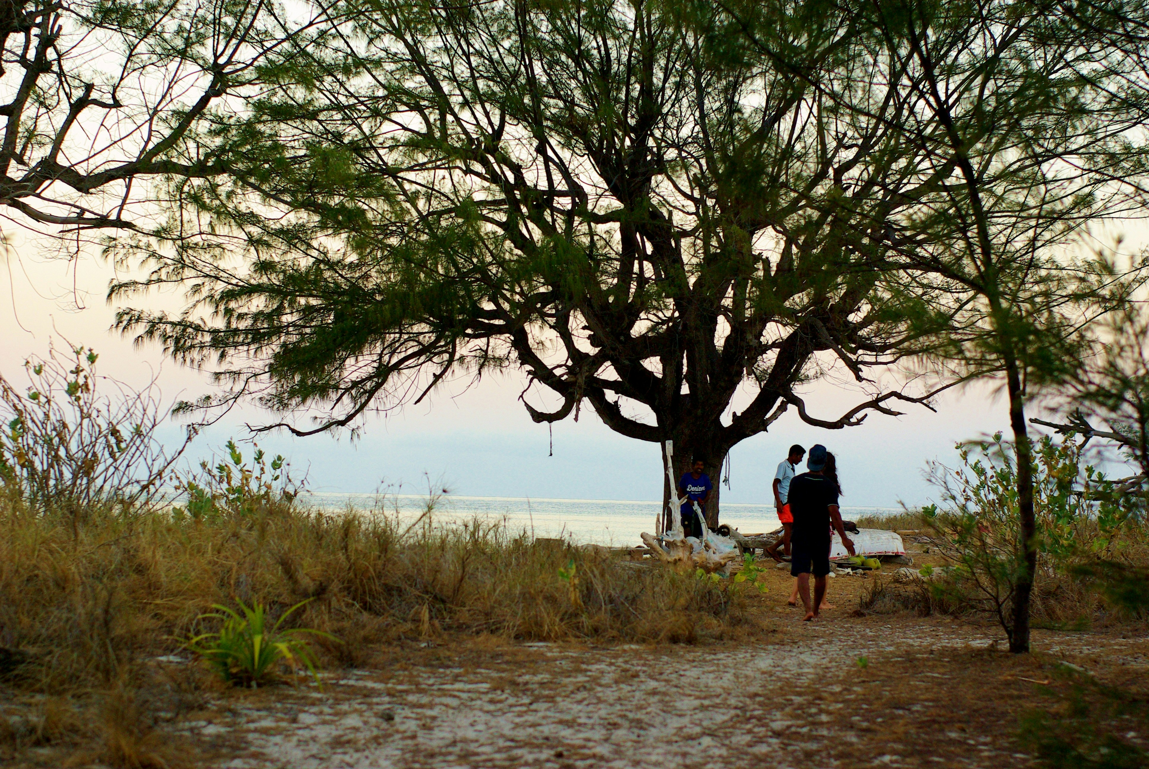 Um casal de pessoas caminhando por uma estrada de terra foto – Imagem ...