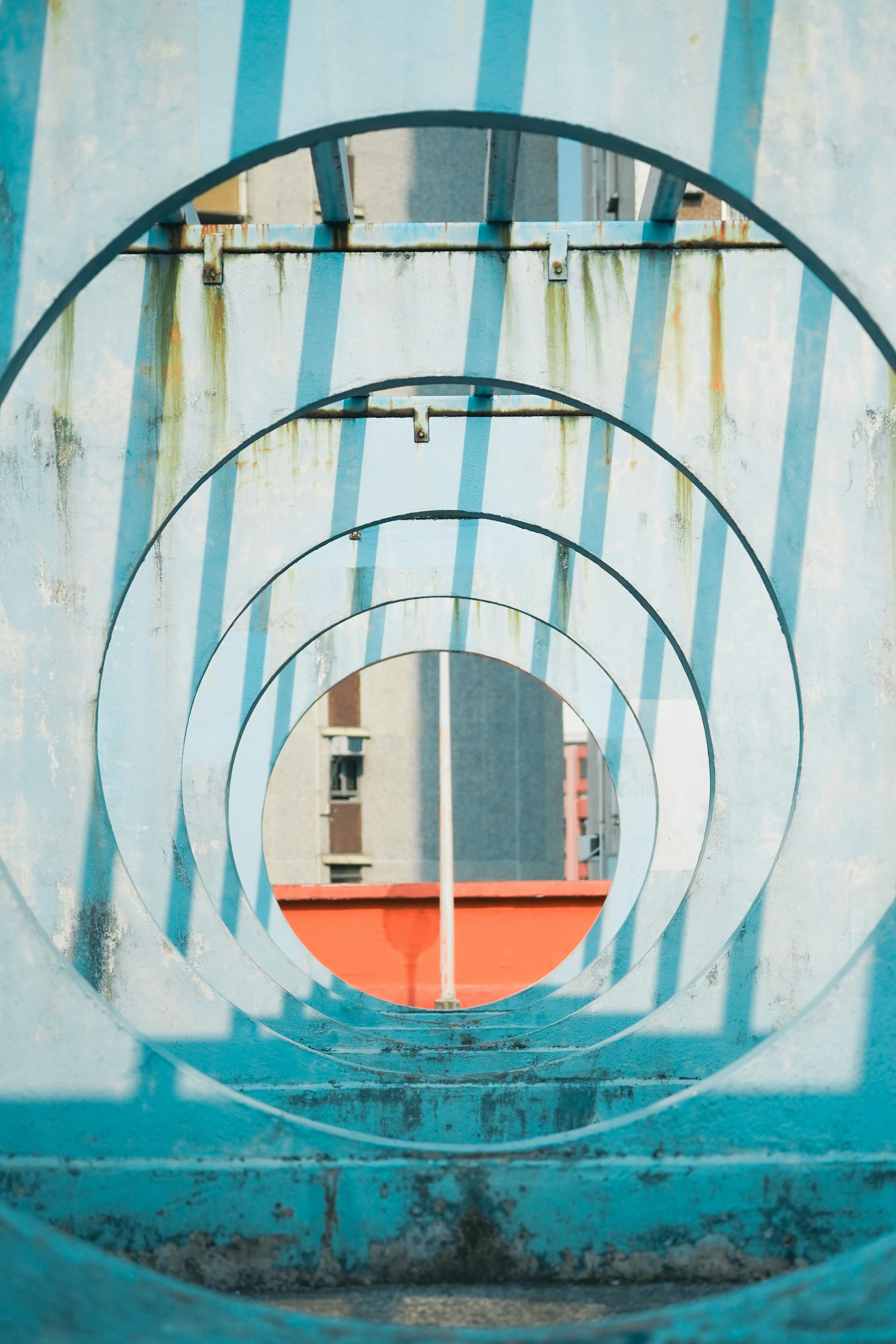 Photo by Chelaxy Designs with Sony Alpha 7 III