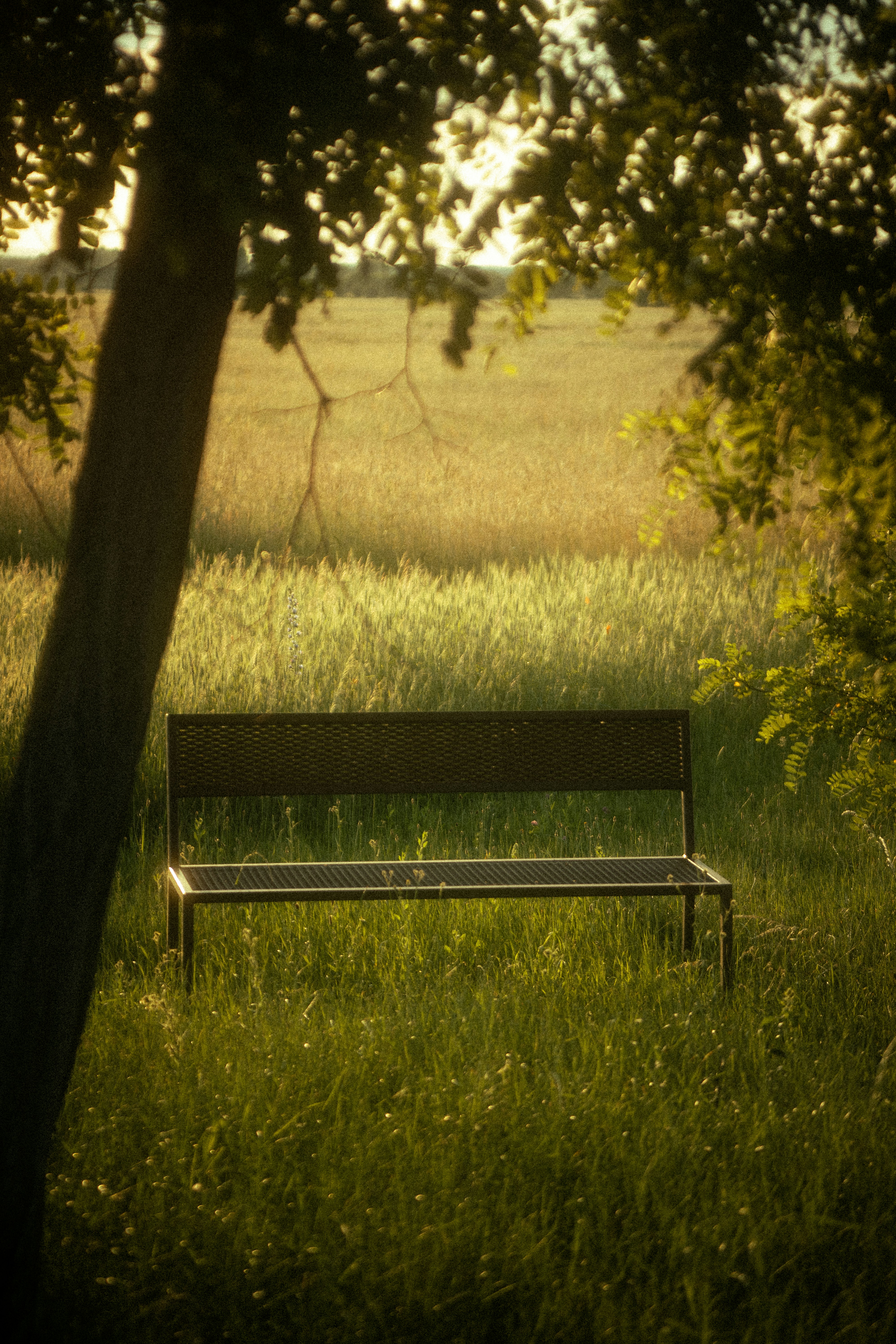 Photo by Michal Jankovič with Canon EOS M50 Mark II