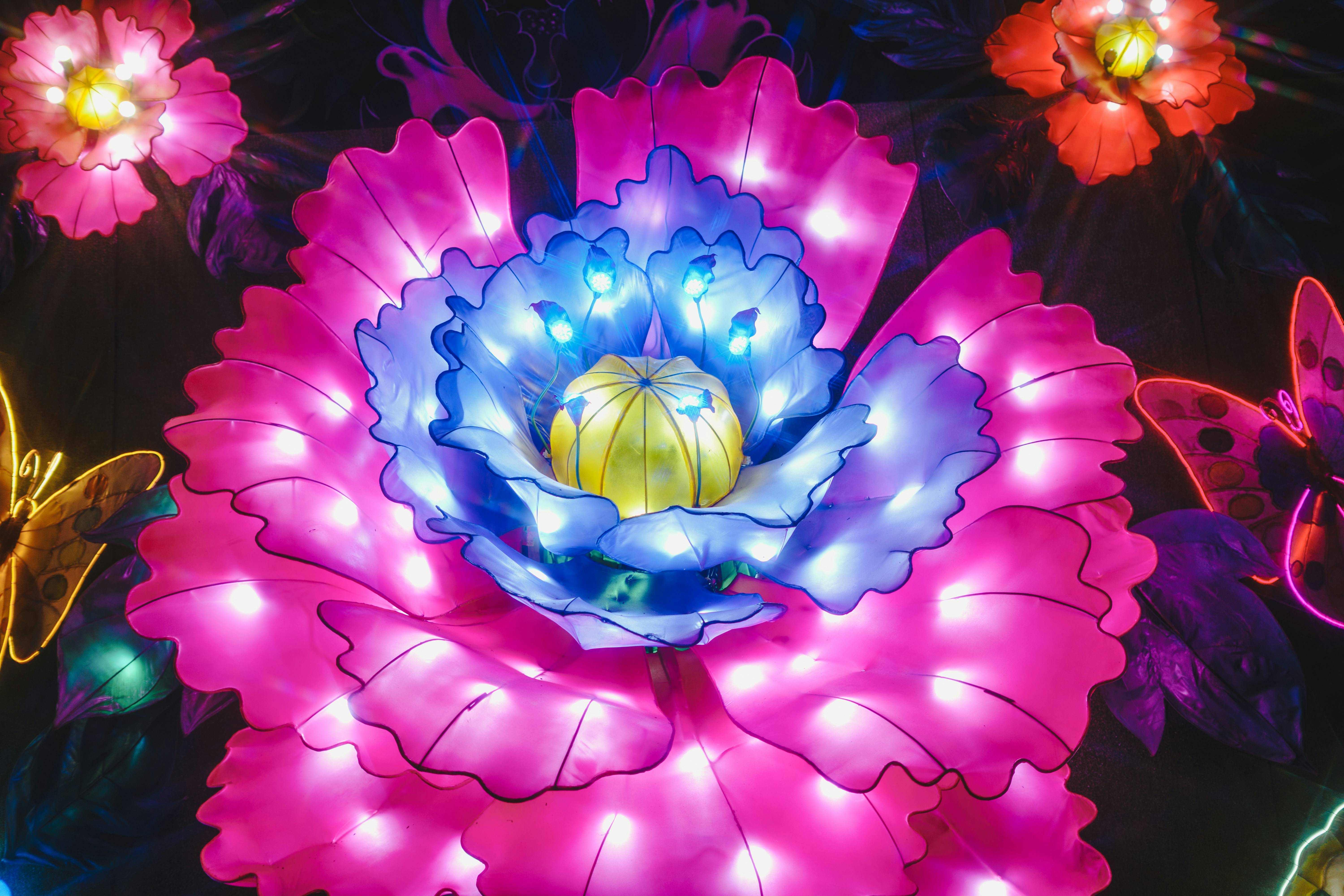 Neon Bloom: A Centerpiece of Electric Petals