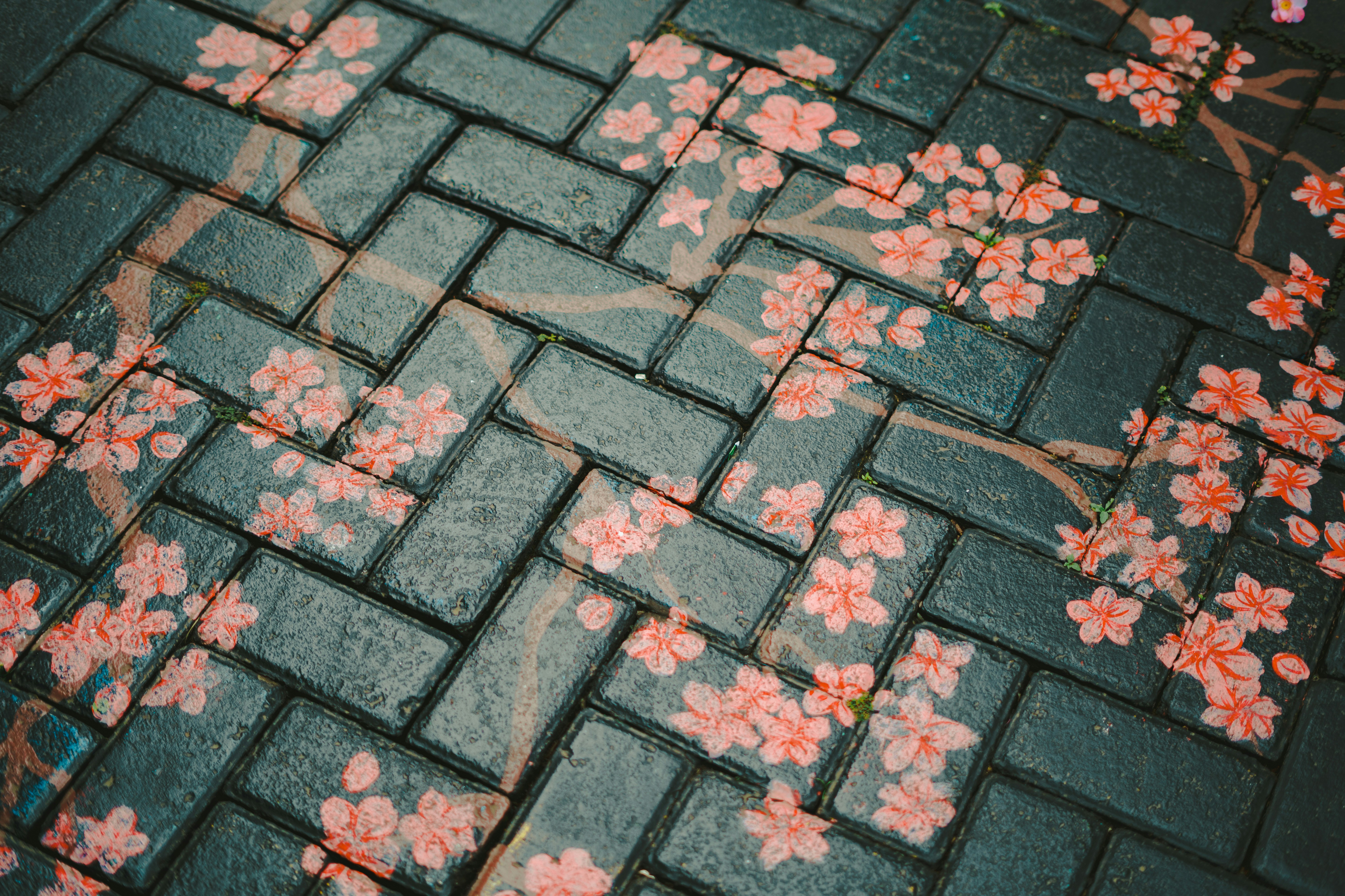 Photo by Pandhuya Niking with Sony Alpha 7C