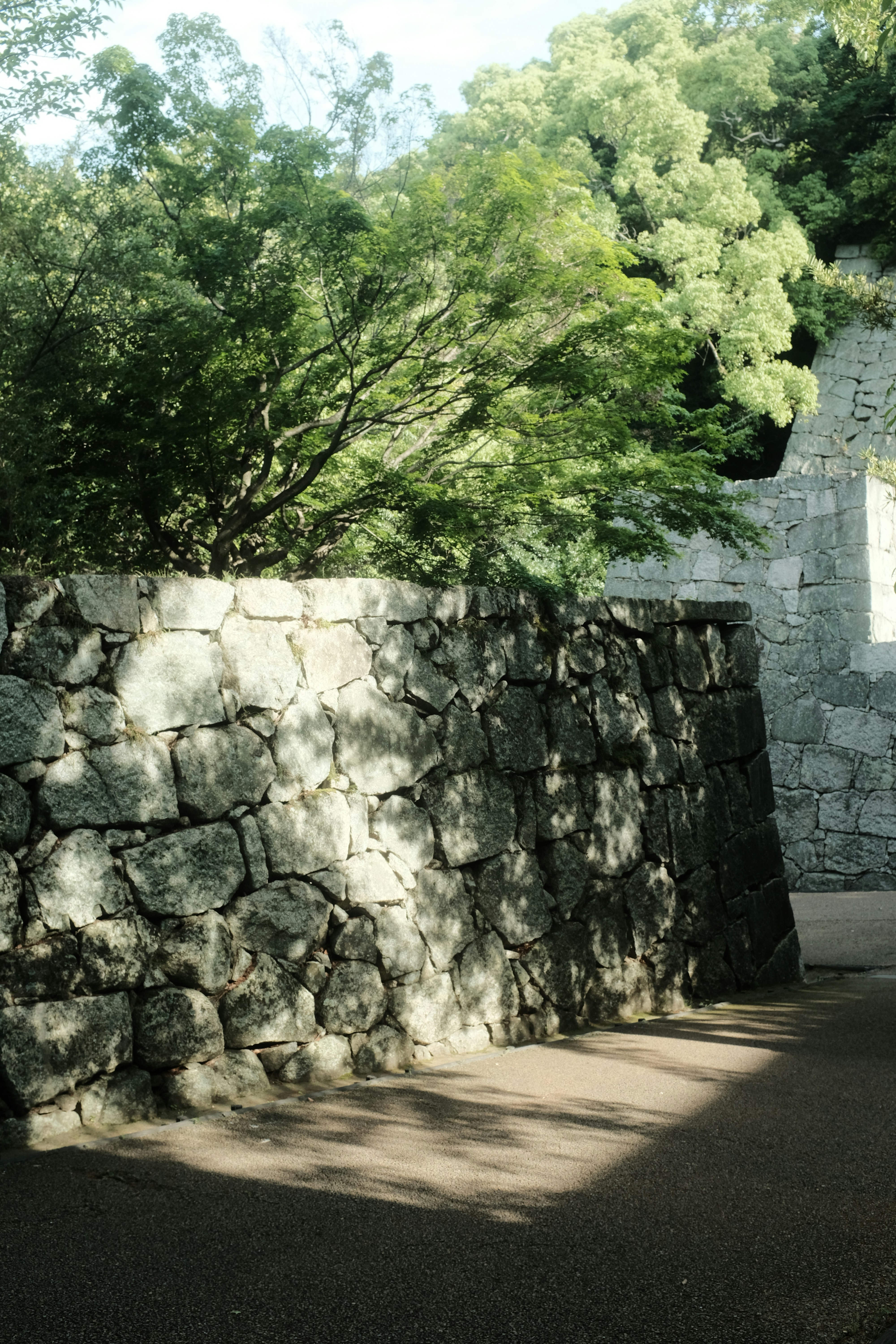 Photo by MAK with Fujifilm X100F