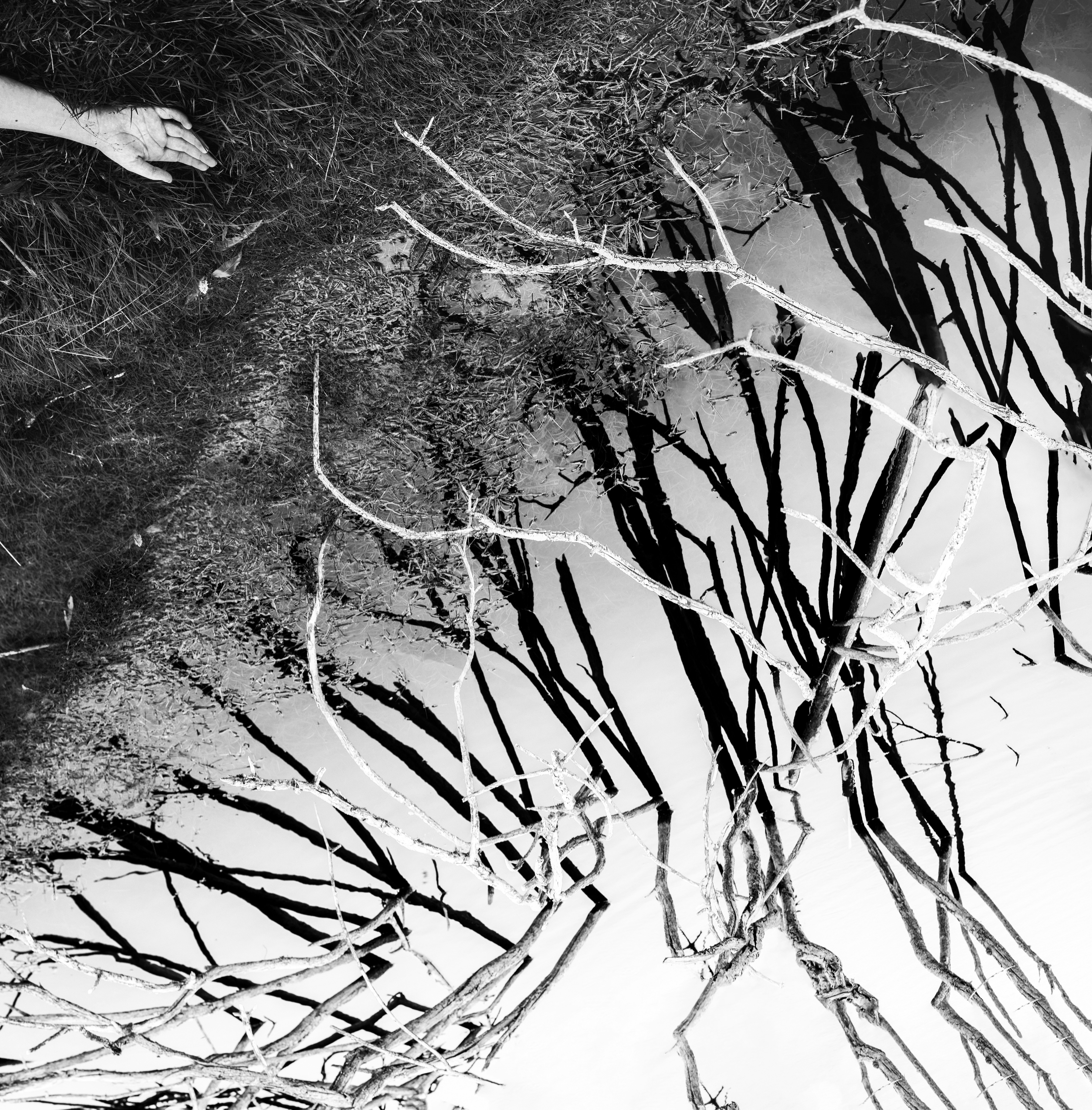 Photo by Maria Budanova (Pristavskaya) with Canon EOS 5D Mark IV