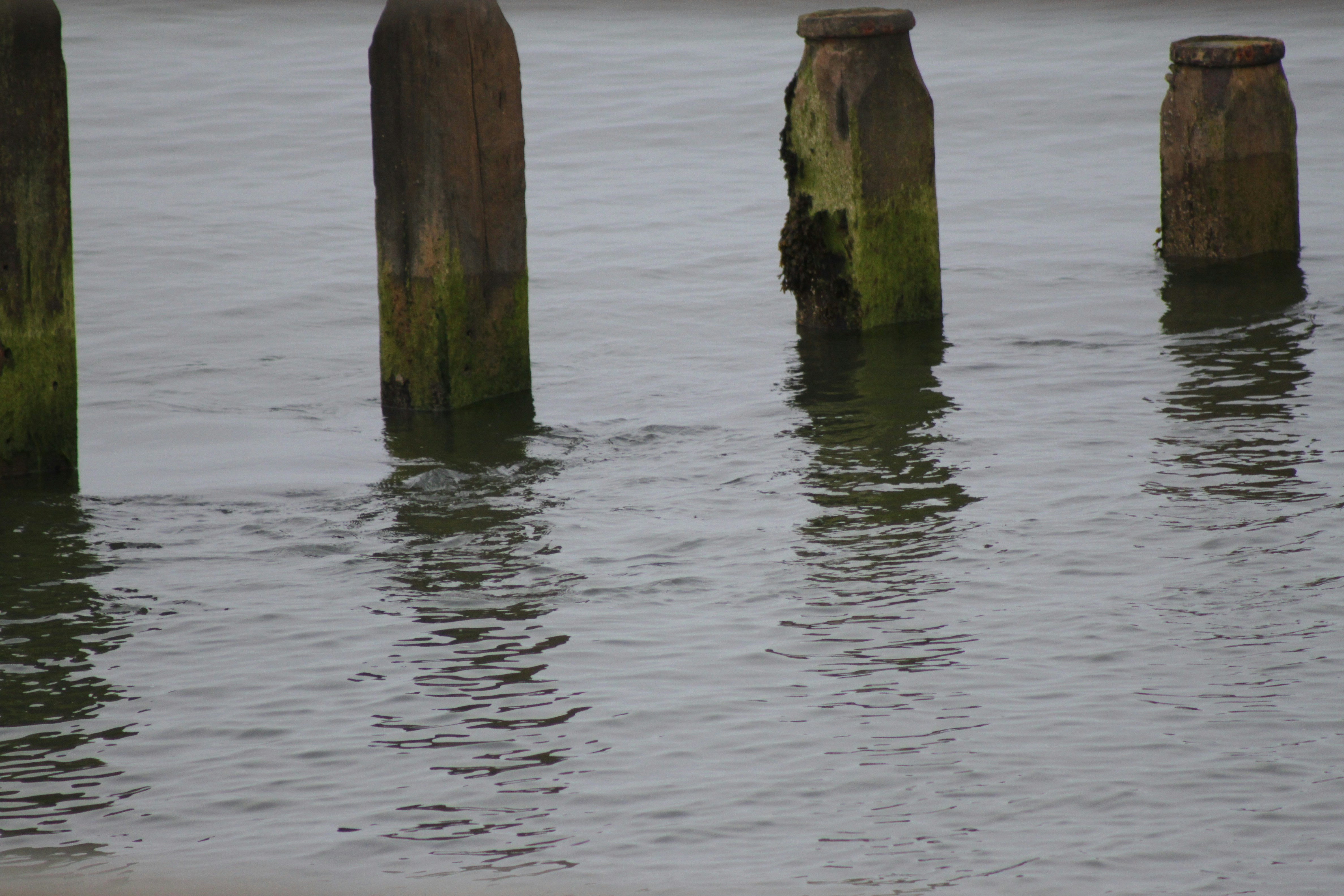 Photo by Ruby Lalor with Canon EOS 500D