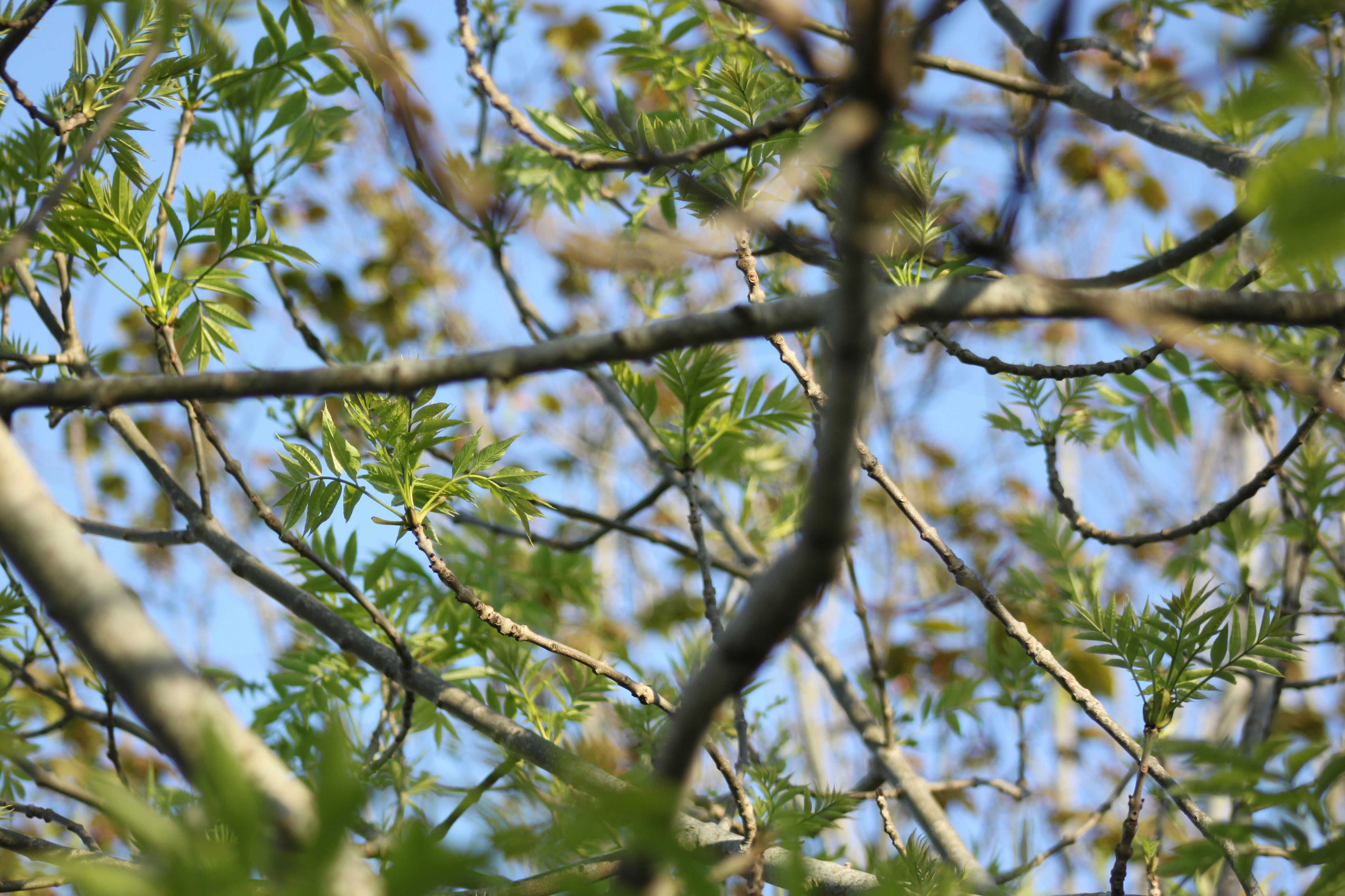 Photo by Ruby Lalor with Canon EOS 500D