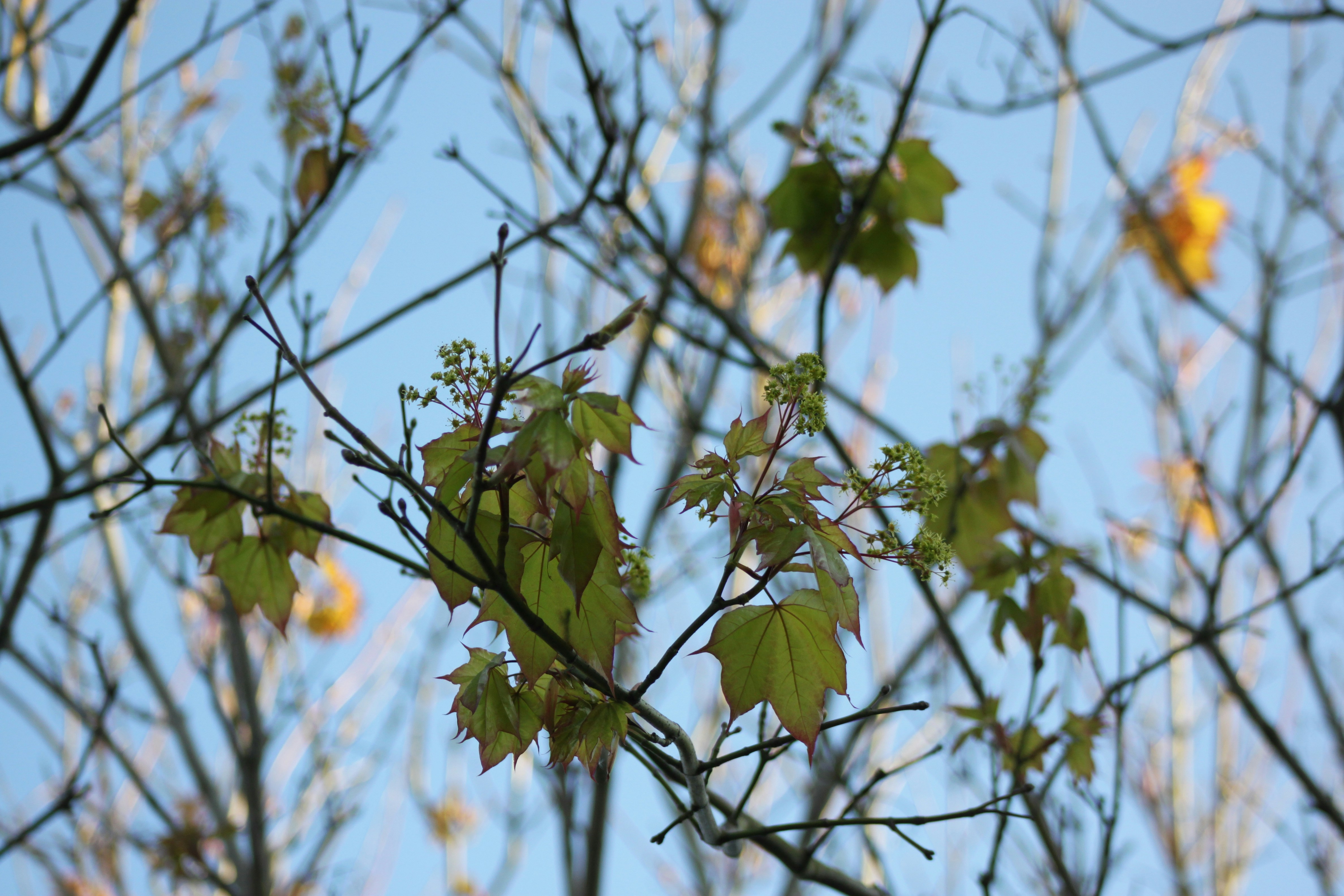 Photo by Ruby Lalor with Canon EOS 500D