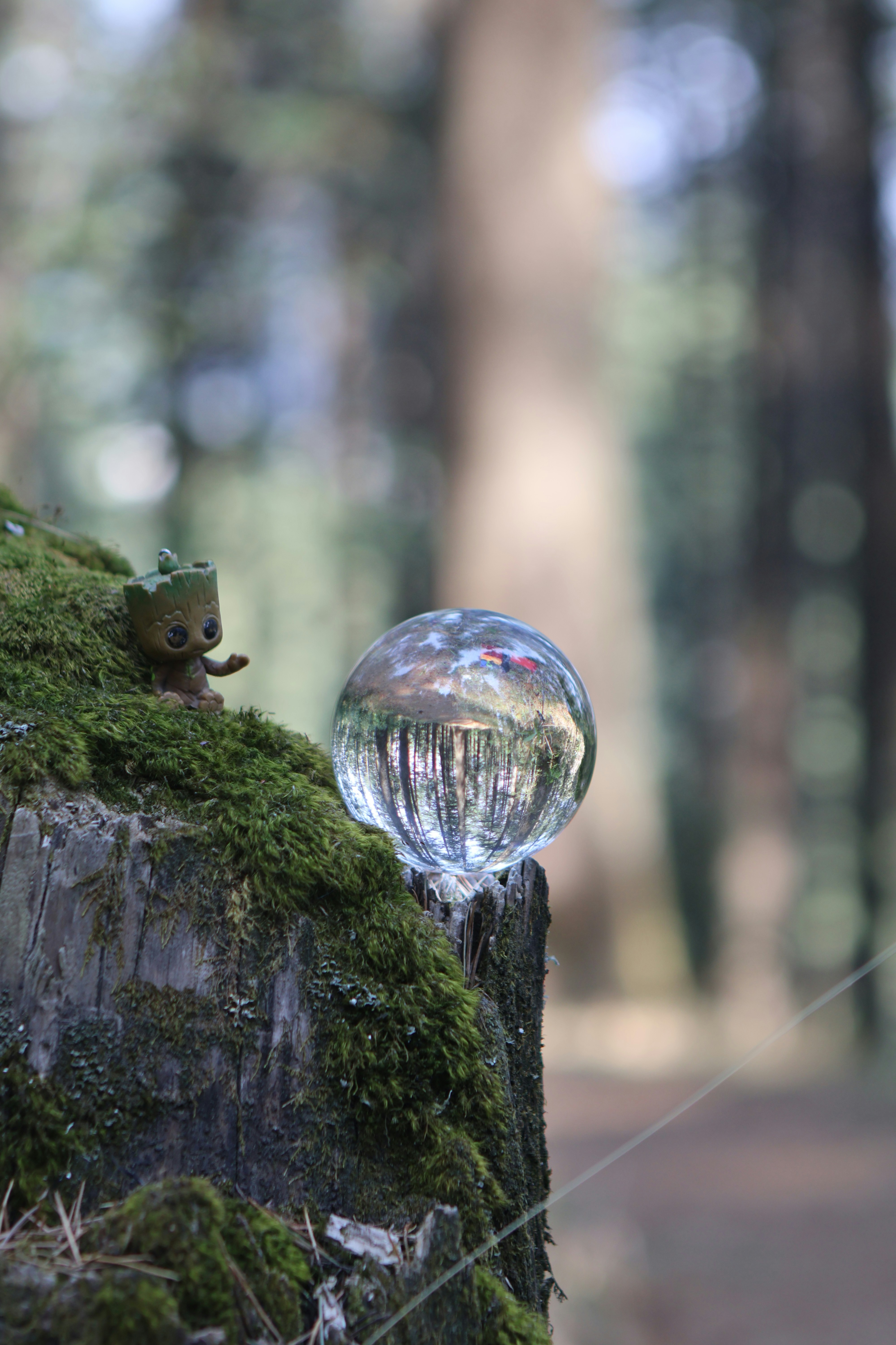 Glass Globe on Moss: A Tiny Groot Keeps Watch in a Quiet Forest