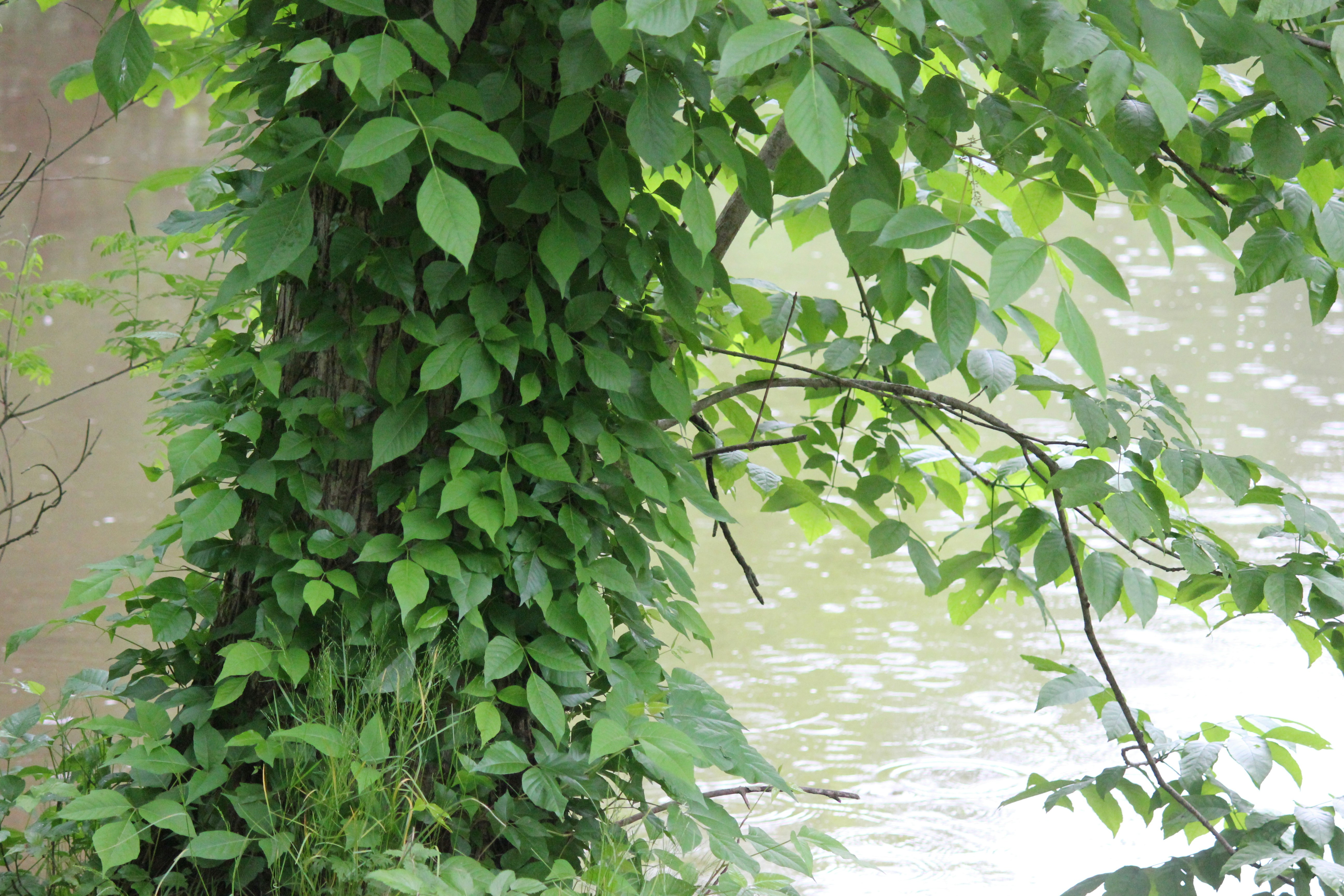 Photo by Frolicsome Fairy with Canon EOS 550D