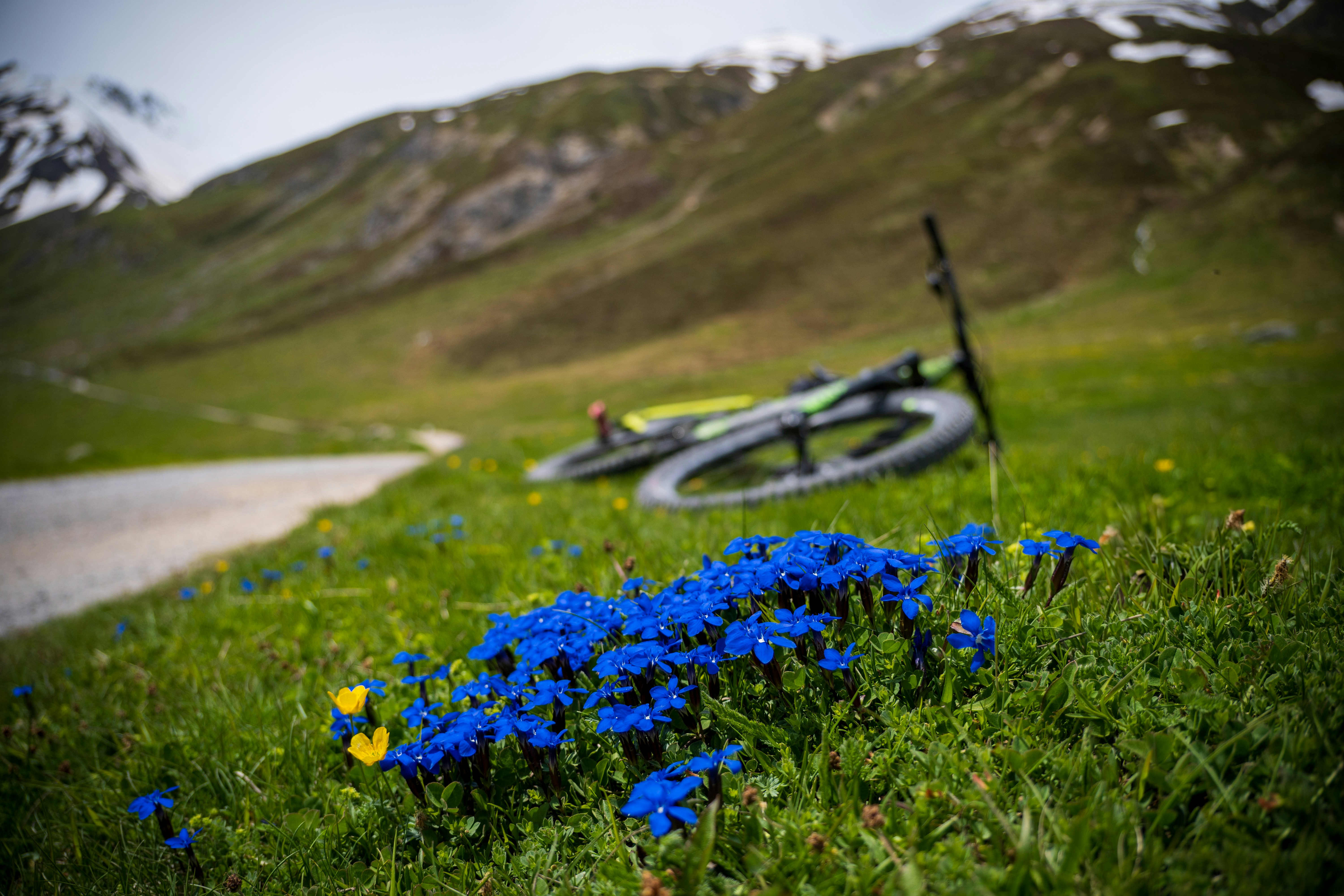 Photo by Michał Robak with Sony Alpha 6100