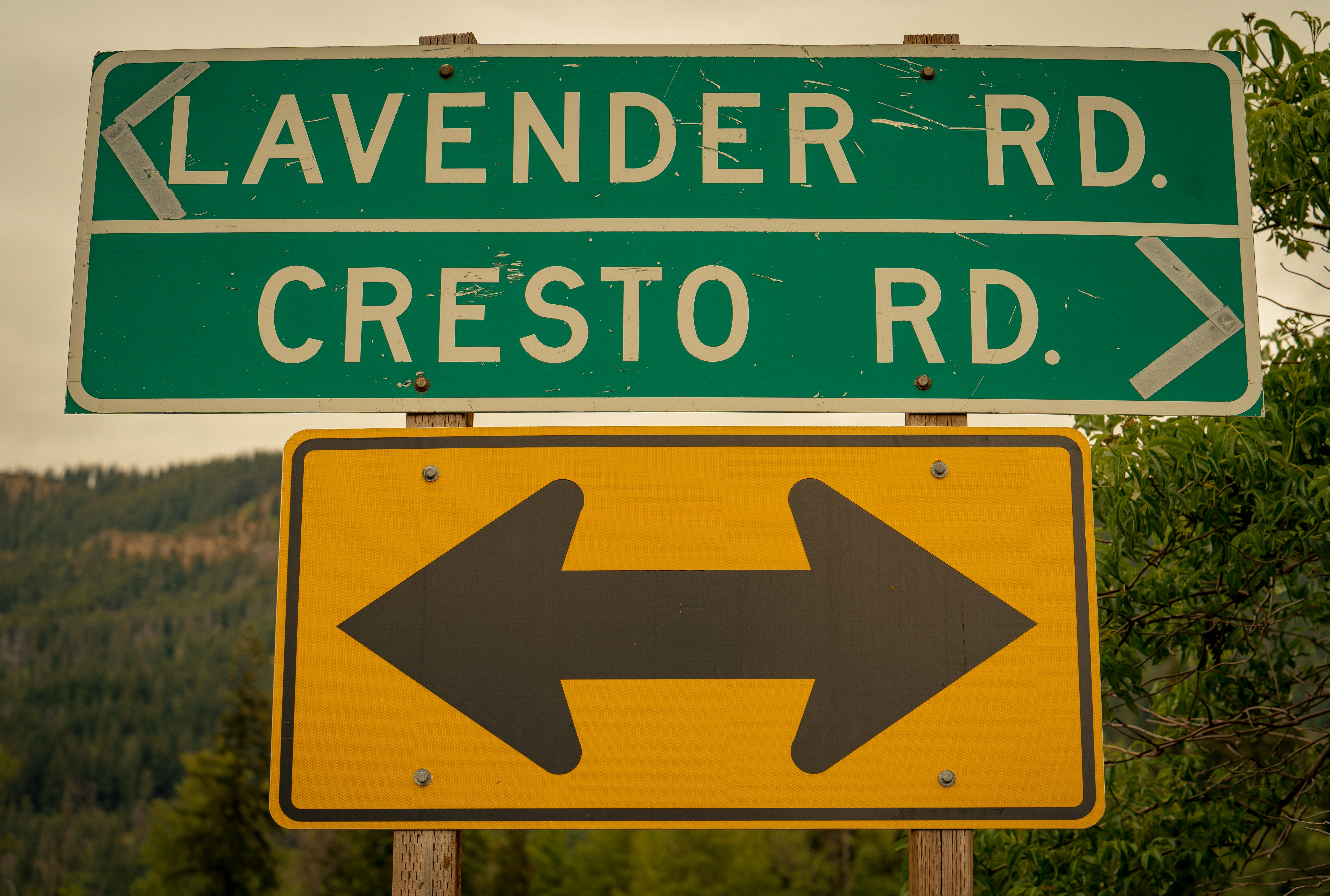 Crossroads Signage: Lavender Road Meets Cresto Road