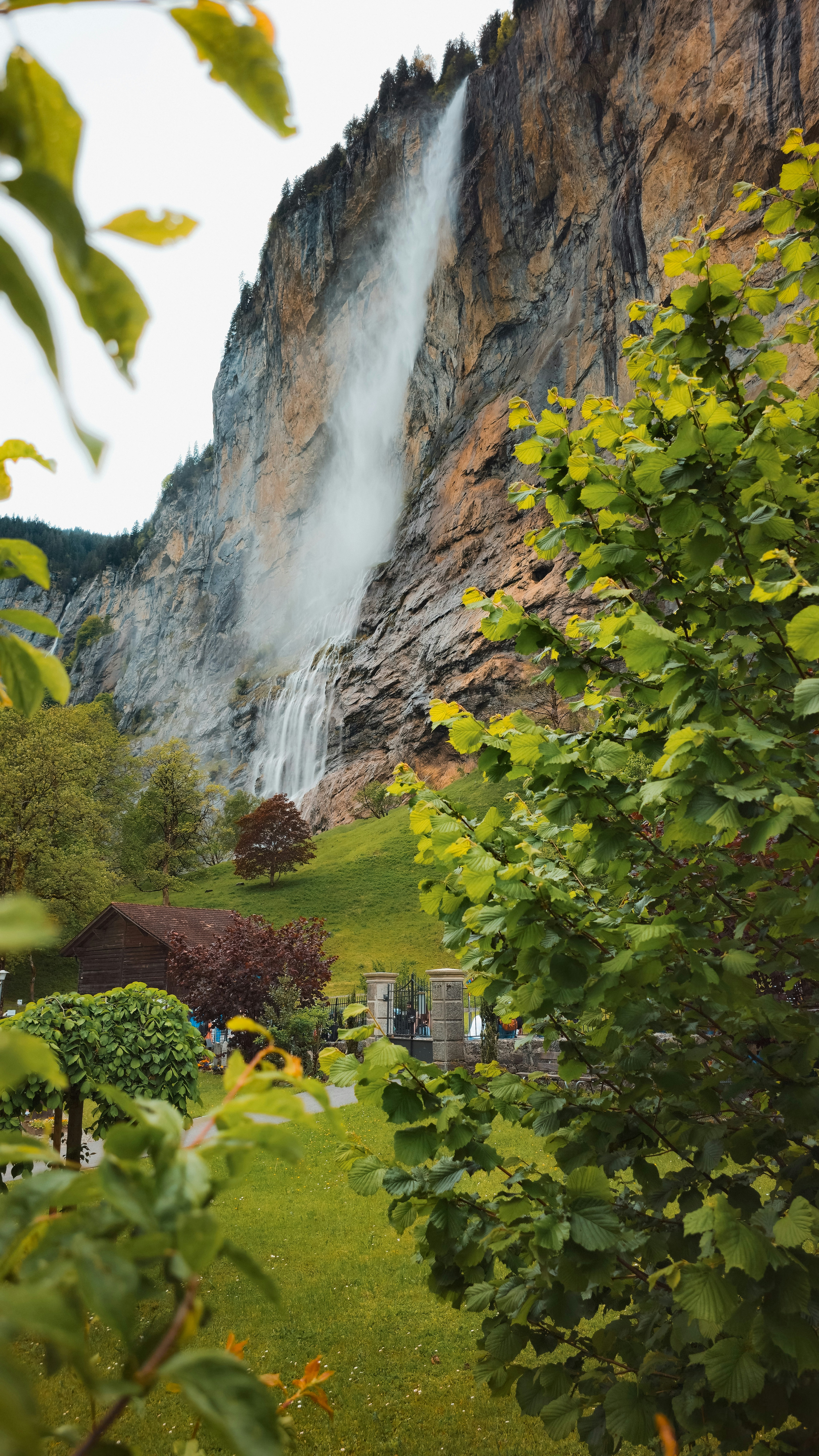 Whispers of the Waterfall: Nature's Cascade