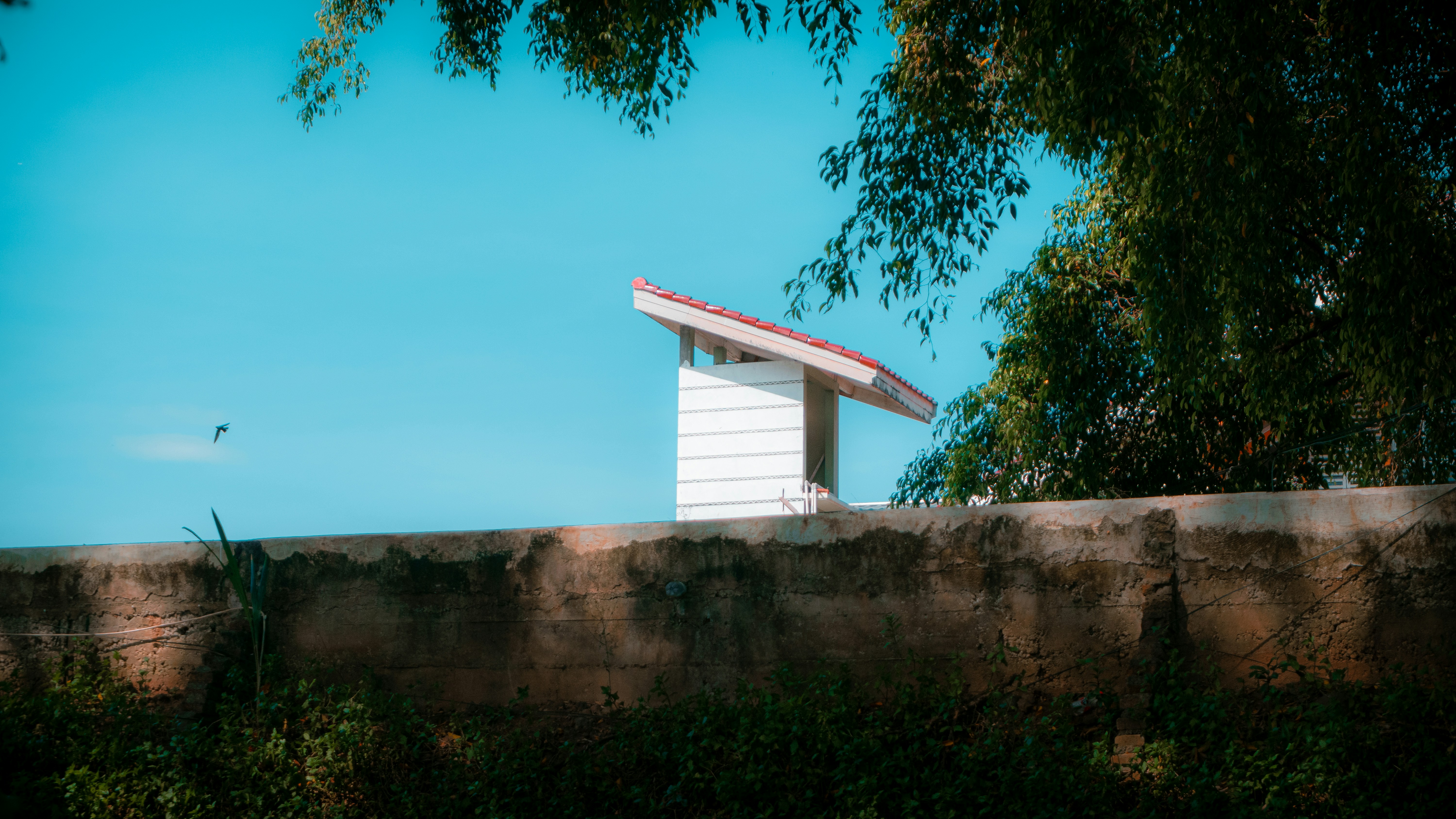 White structure with a slanted roof peeks over a stone wall, framed by tree branches under a clear blue sky.