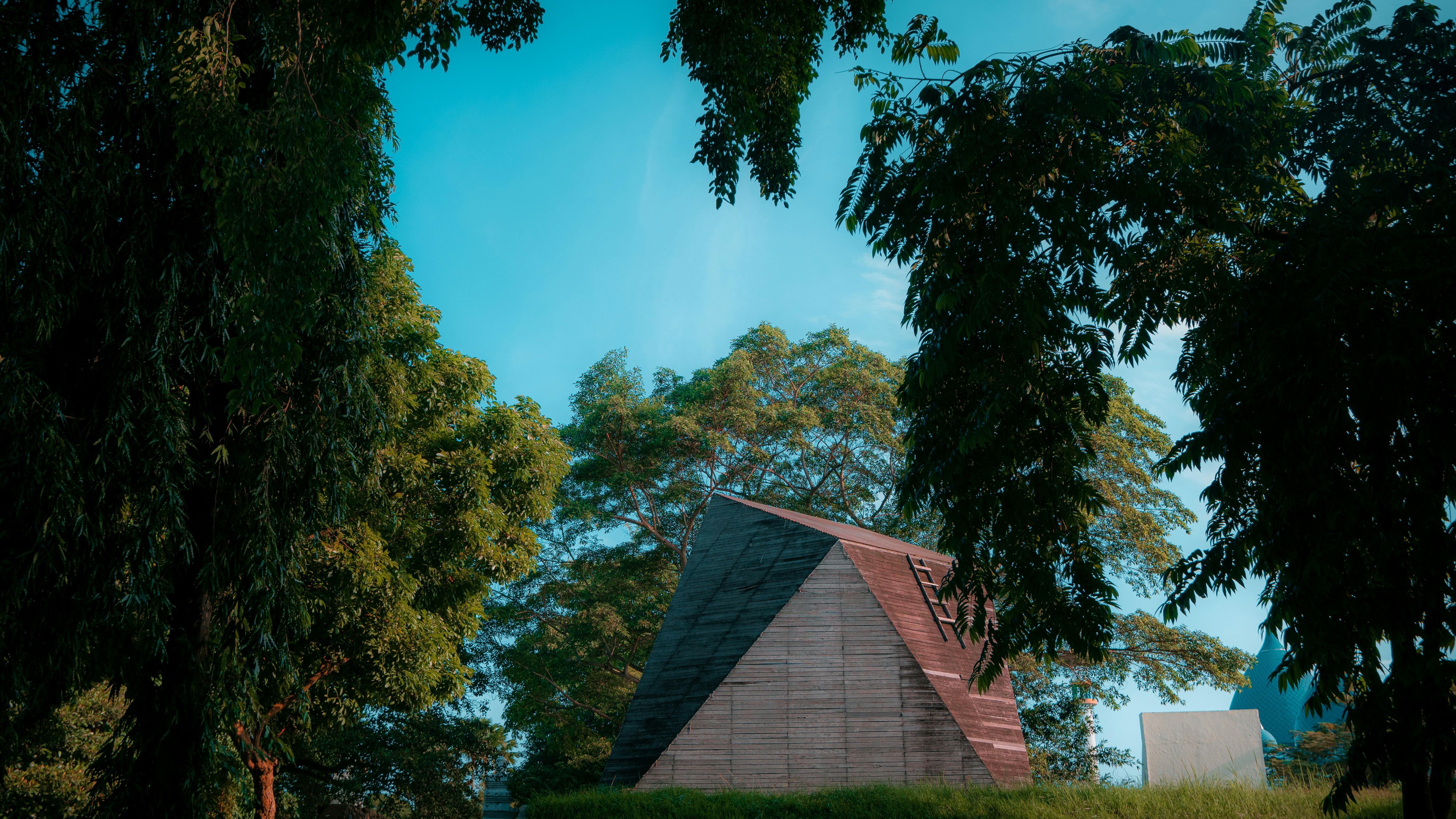 Triangular Tranquility Amid Verdant Foliage