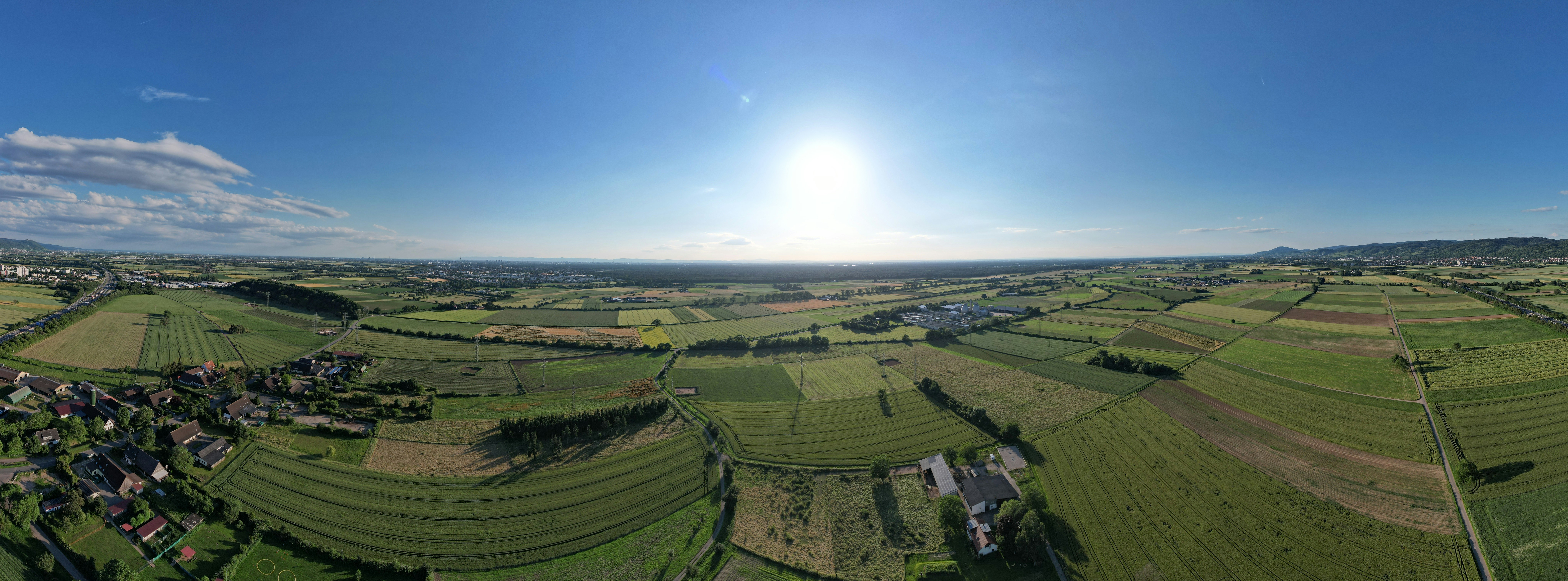 An aerial view of expansive farmland featuring a patchwork of green and brown fields under a clear blue sky. A long, straight road cuts through the landscape, flanked by trees and various agricultural plots. The scene stretches to a distant horizon where a dense forest and a few scattered buildings are visible. The bright sunlight casts long shadows, enhancing the textures and patterns of the fields. The tranquil countryside setting is highlighted by the clear weather and the vast open space, creating a serene and picturesque rural panorama.