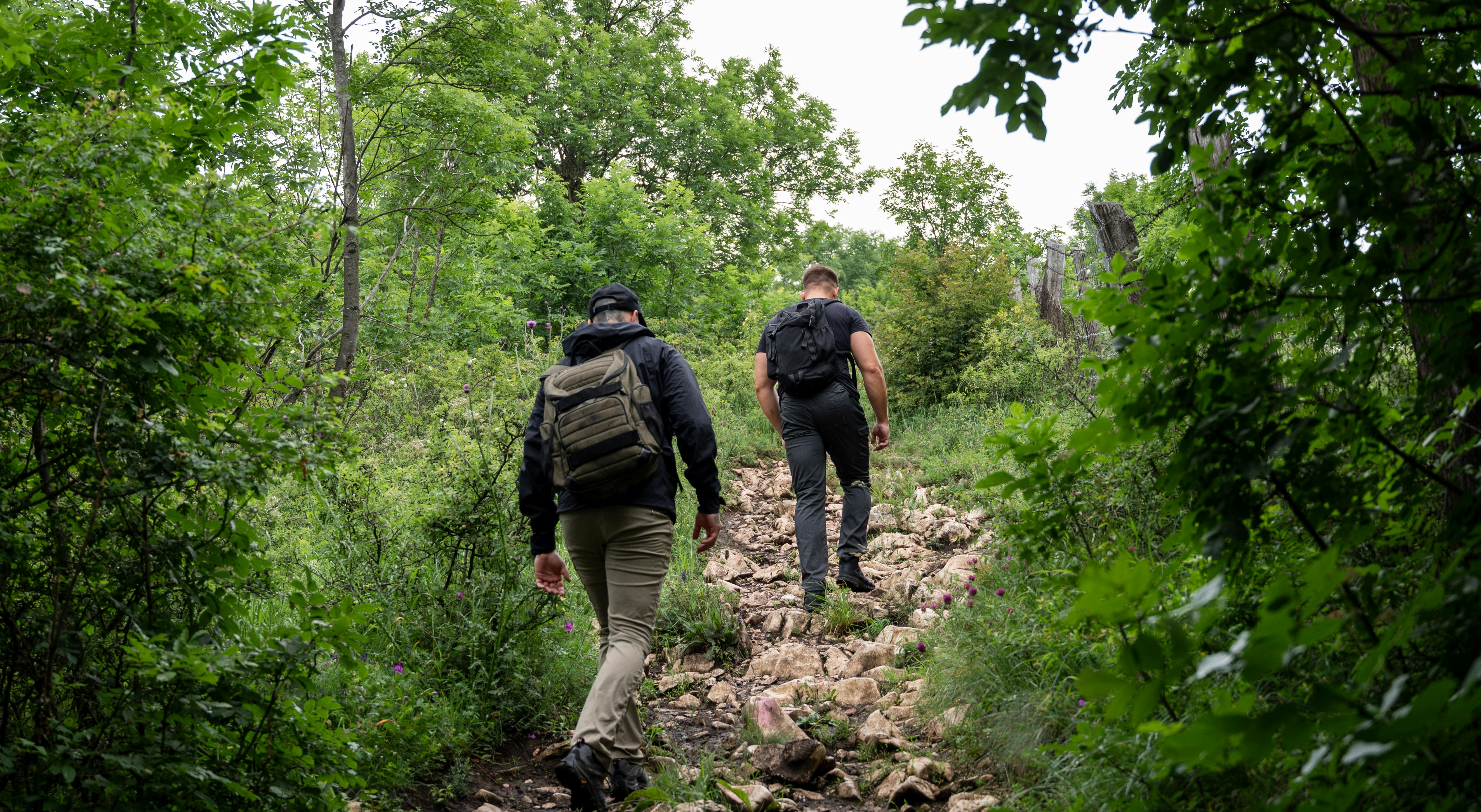 Two men hiking up a rocky trail in the woods photo – Free Hiking Image ...