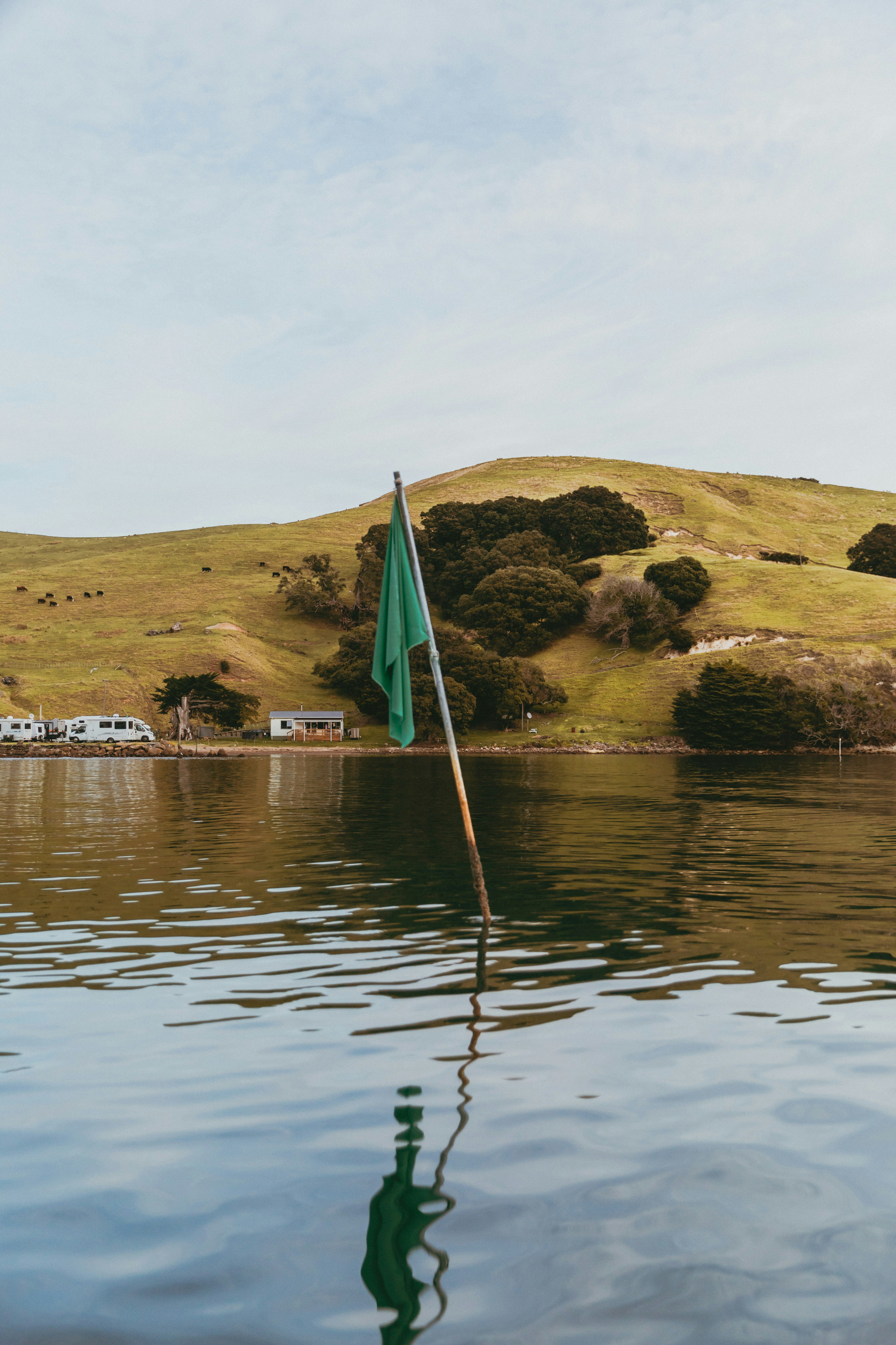 A green flag sticking out of the water photo – Free Waikato Image on ...