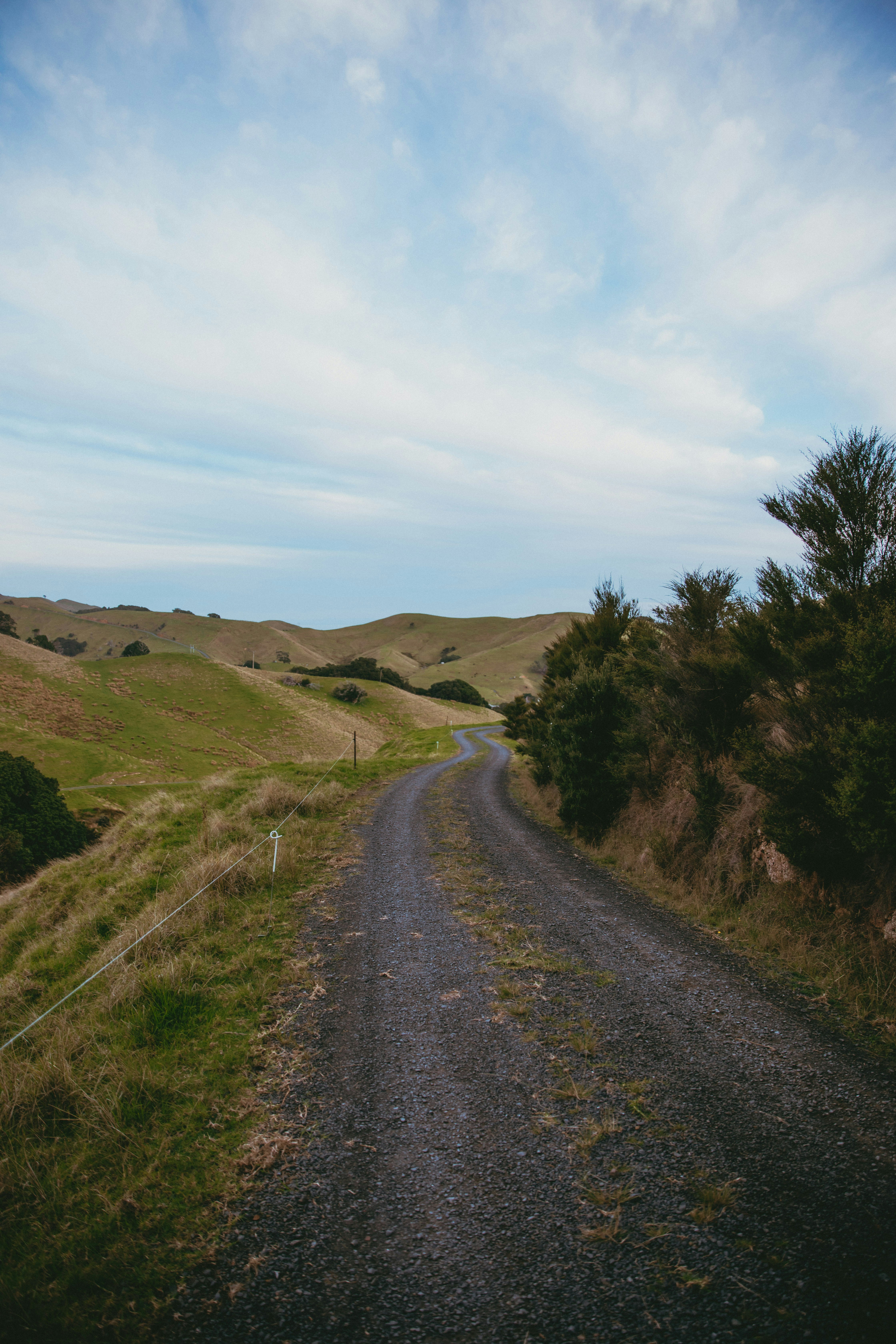 Photo by Petra Reid with Canon EOS 5D Mark IV