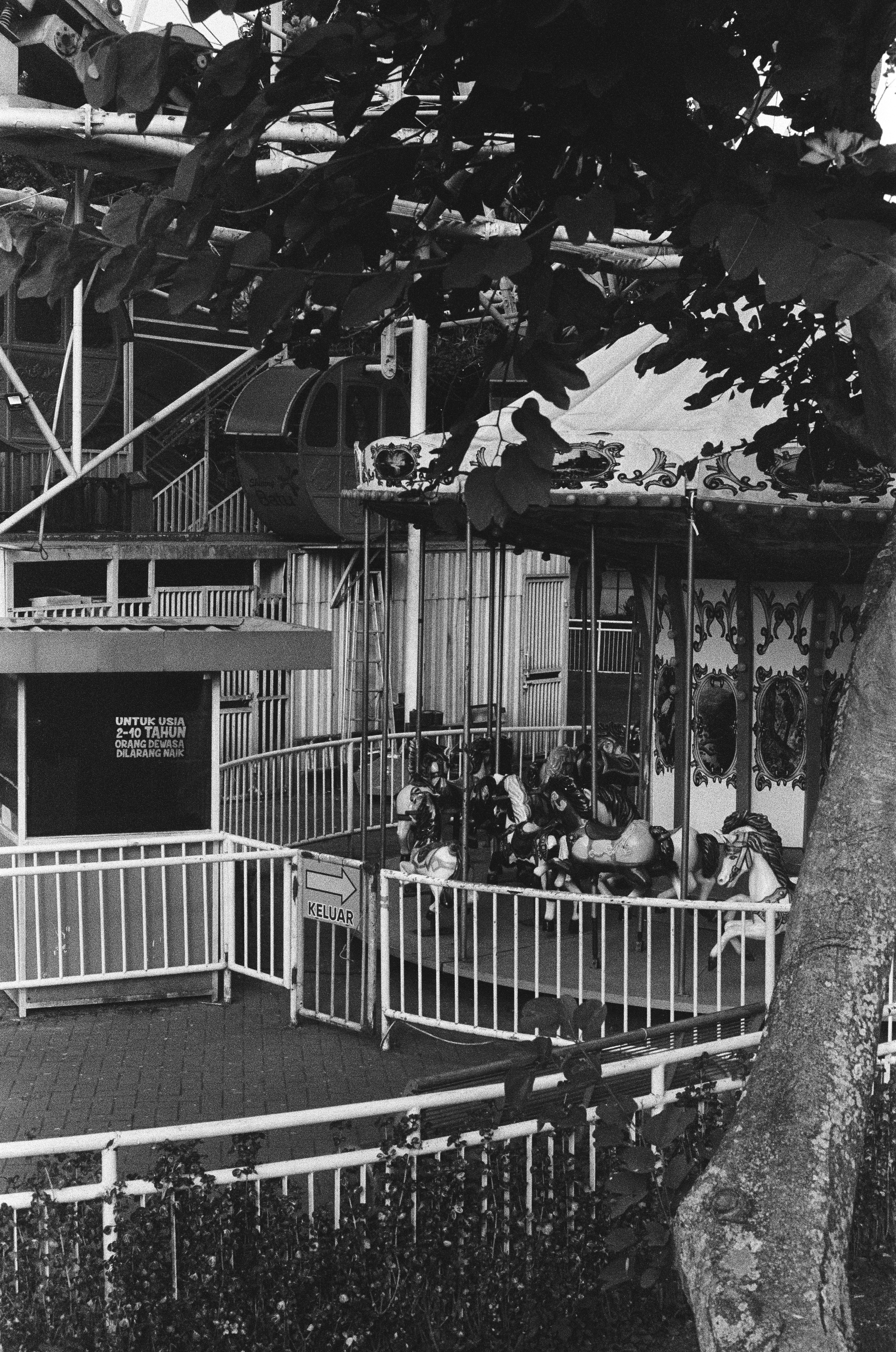 Black-and-white scene of a small amusement ride encircled by a white fence, with riders seated inside carriages beneath overhanging tree branches.