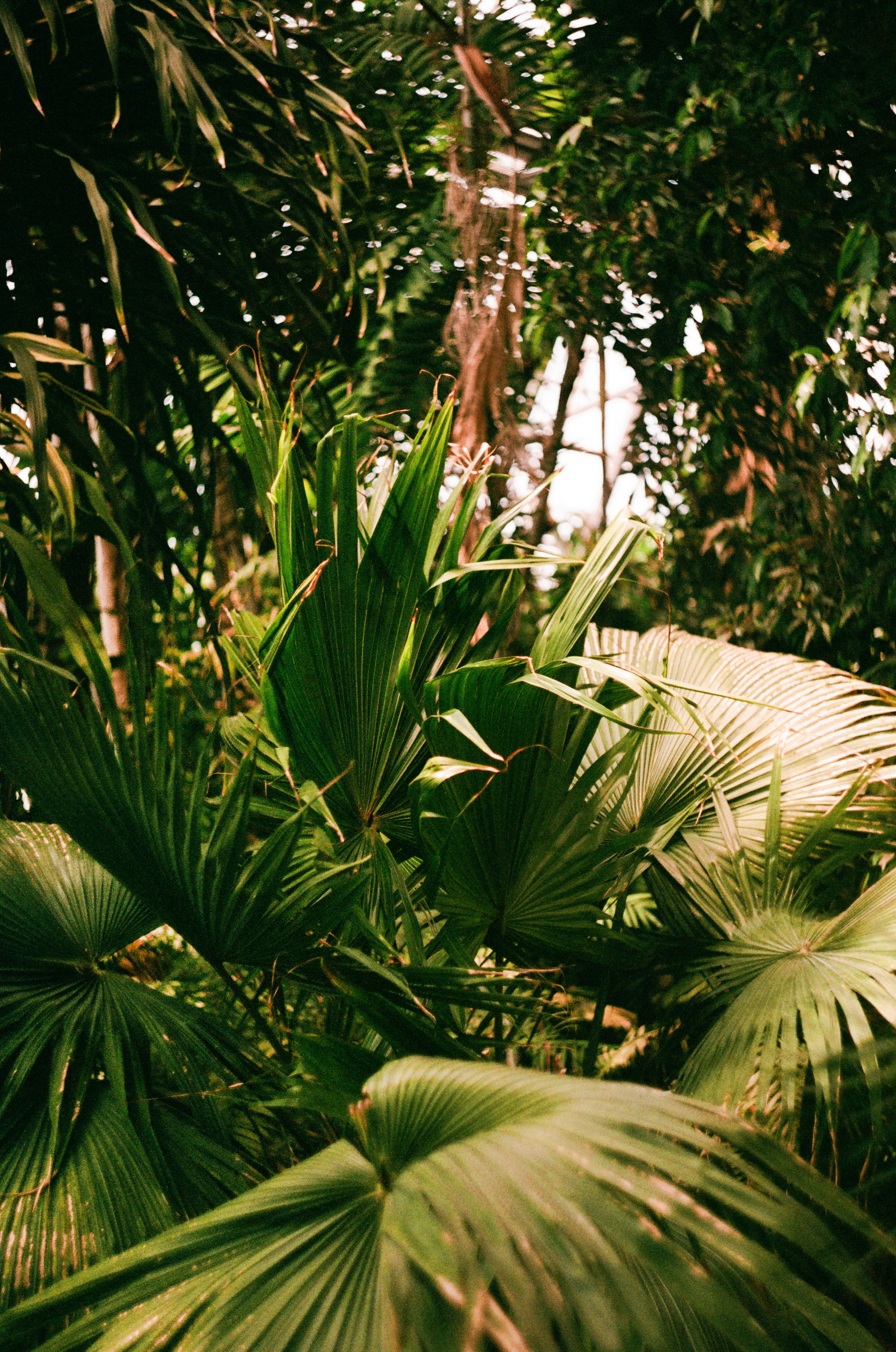 Margarita Marushevska (@margarita_ua) | Unsplash Photo Community