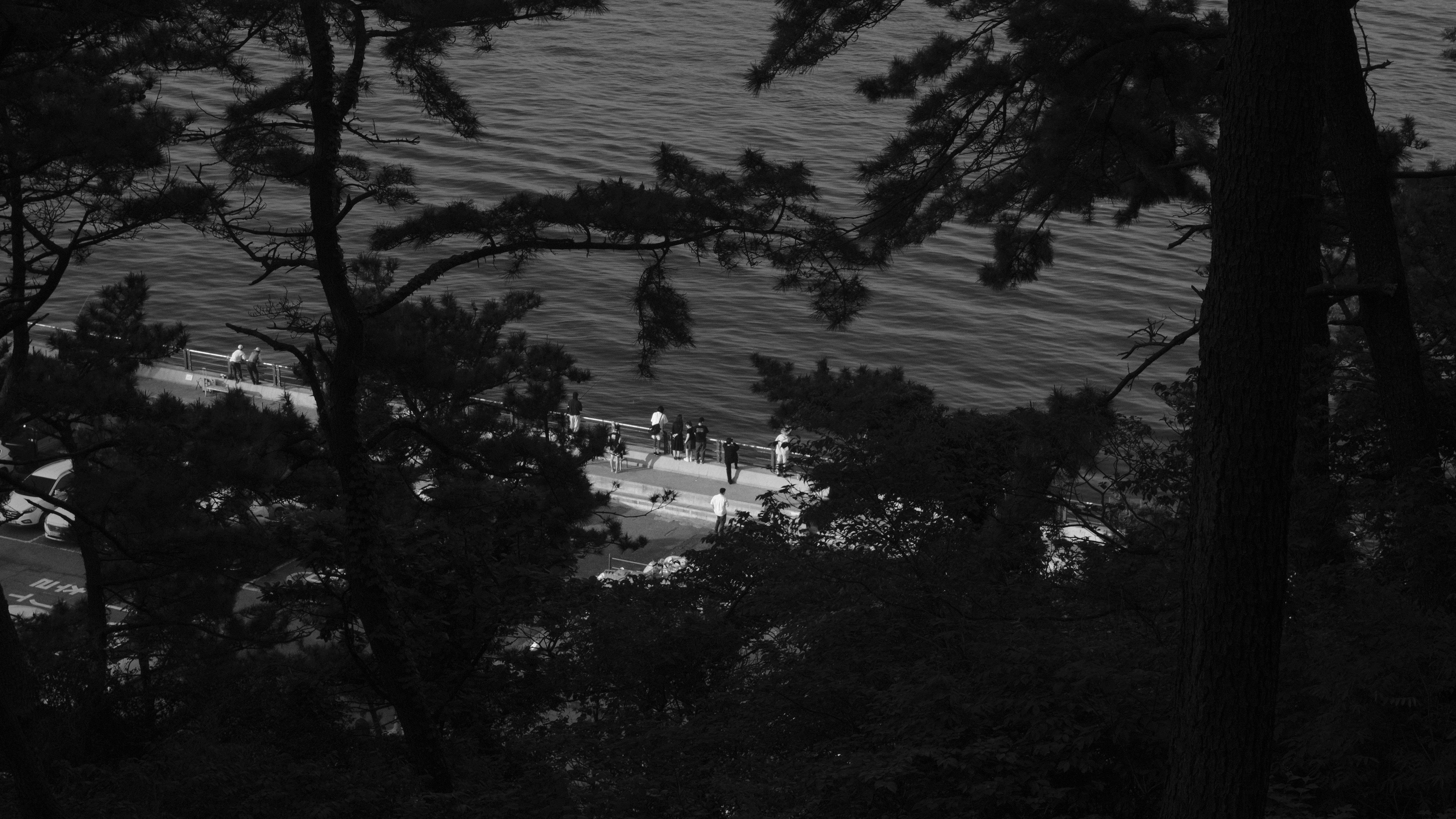 Photo by Hoang Trinh with Fujifilm X-T2