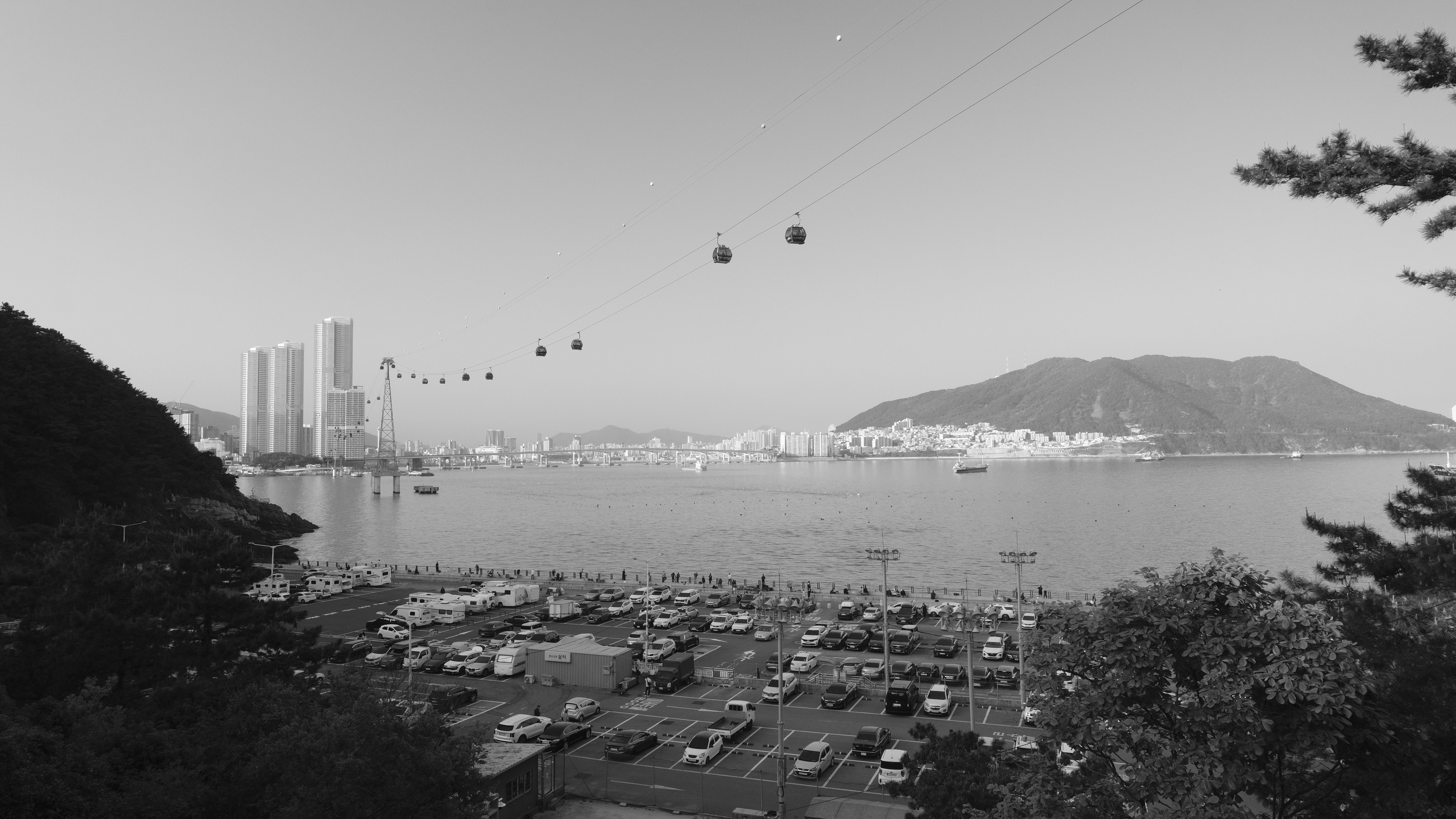 Cable Car Arc Over a Monochrome Harbor Cityscape