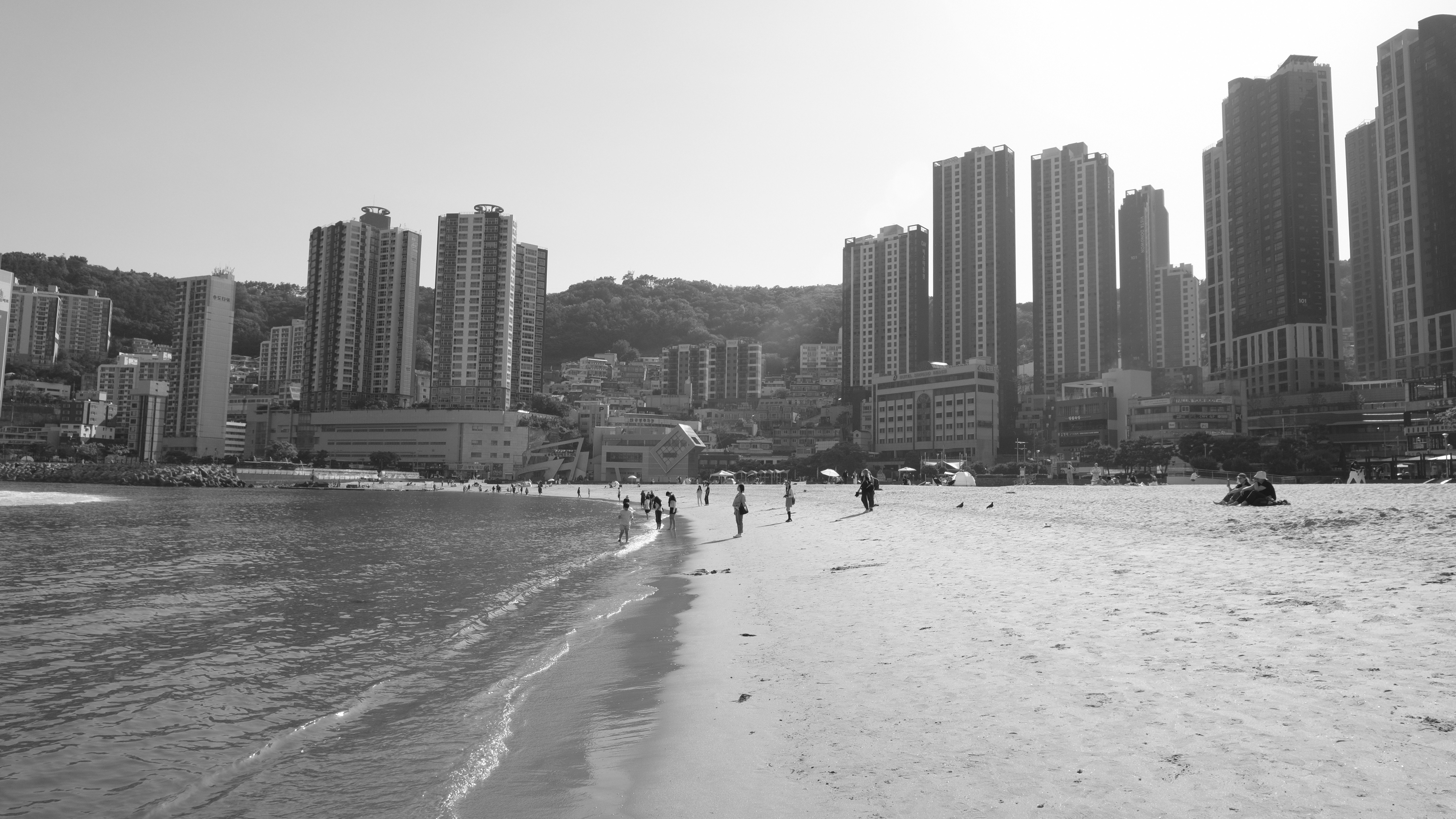 Monochrome Coastline: Figures at the Waterline Beneath a Forest of Towers