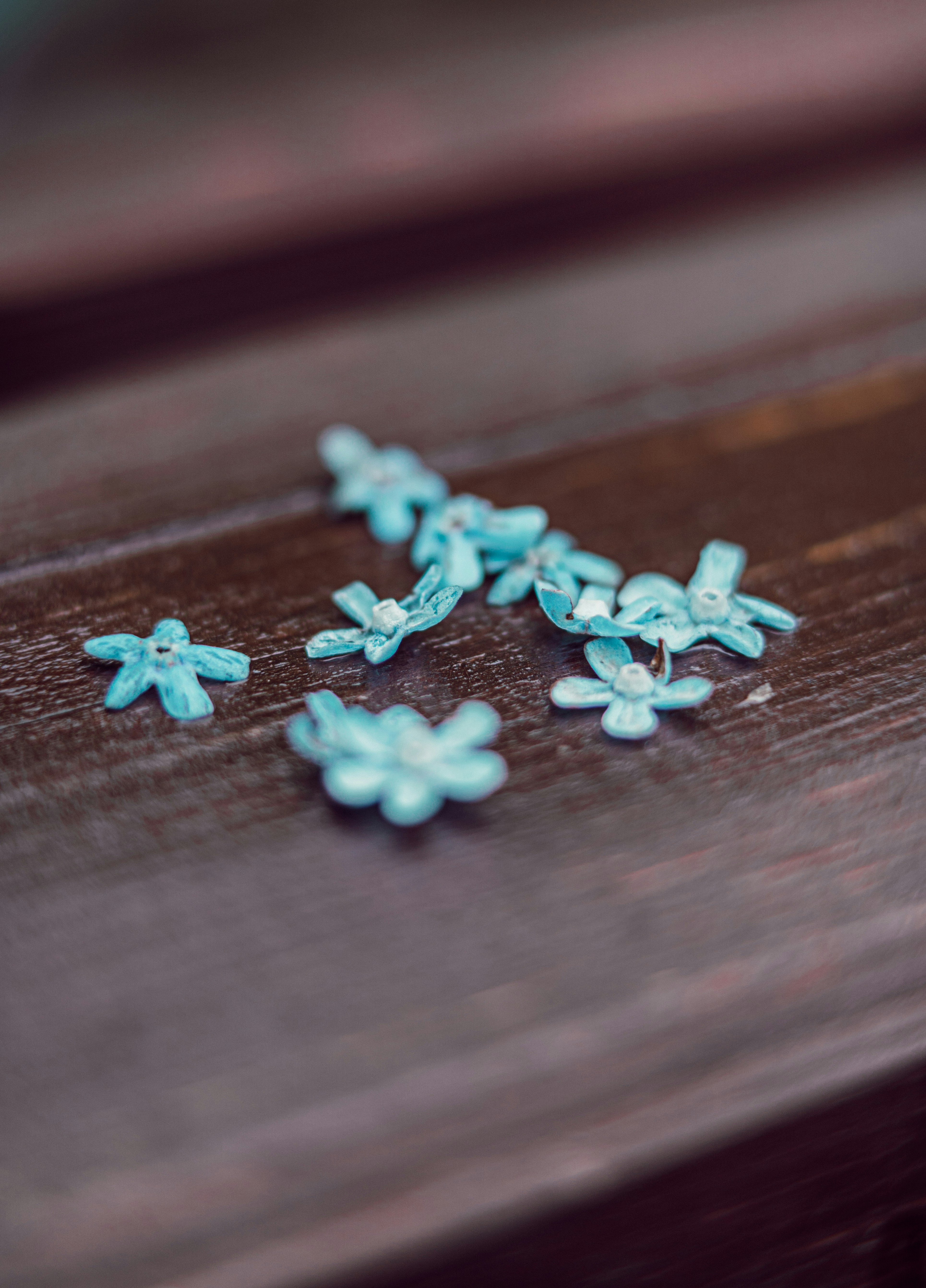 Pastel Petals: Tiny Blue flowers on Aged Wood