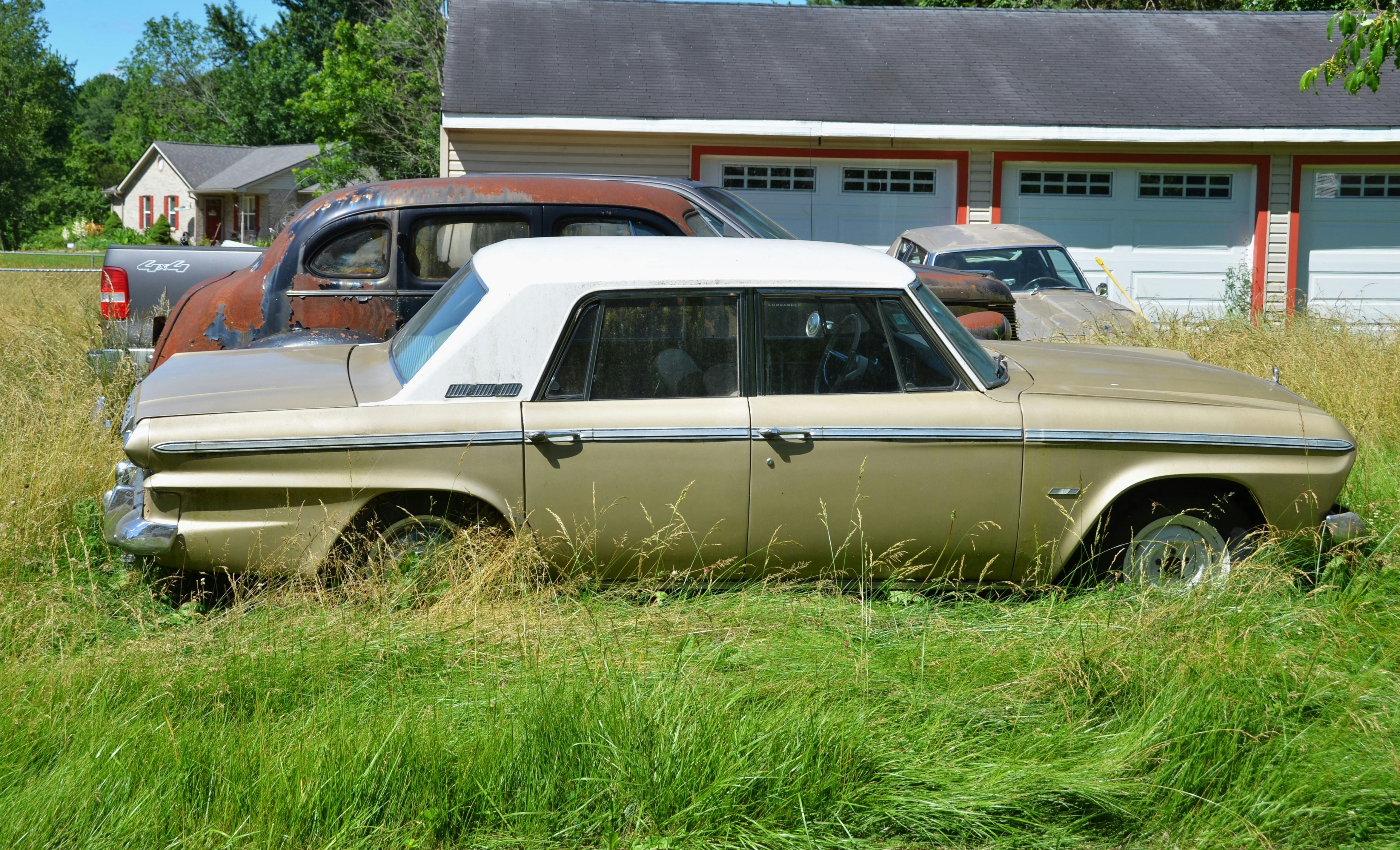 Gilded Relic Resting in a Quiet Field