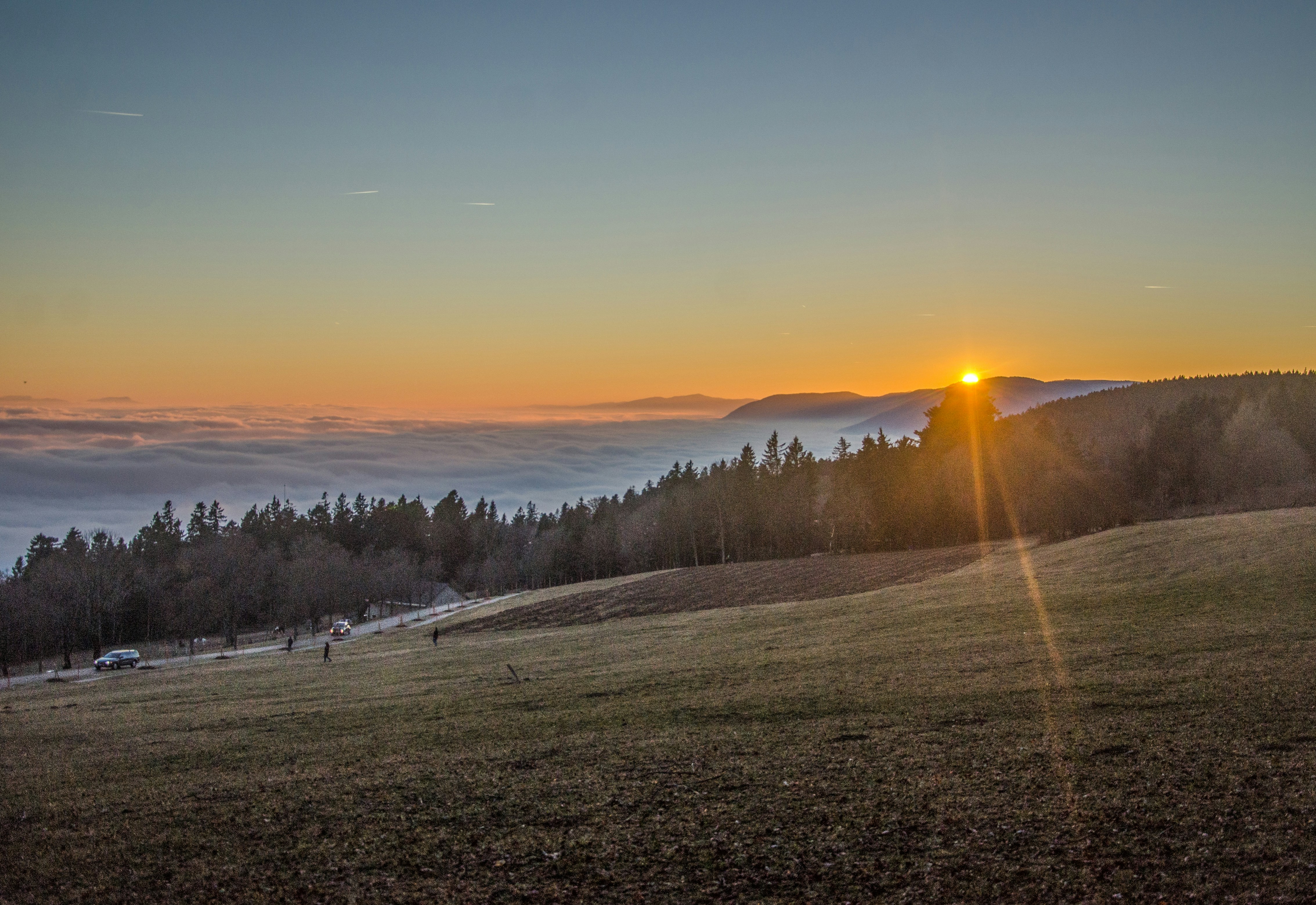 Golden Horizon Over Serene Meadow