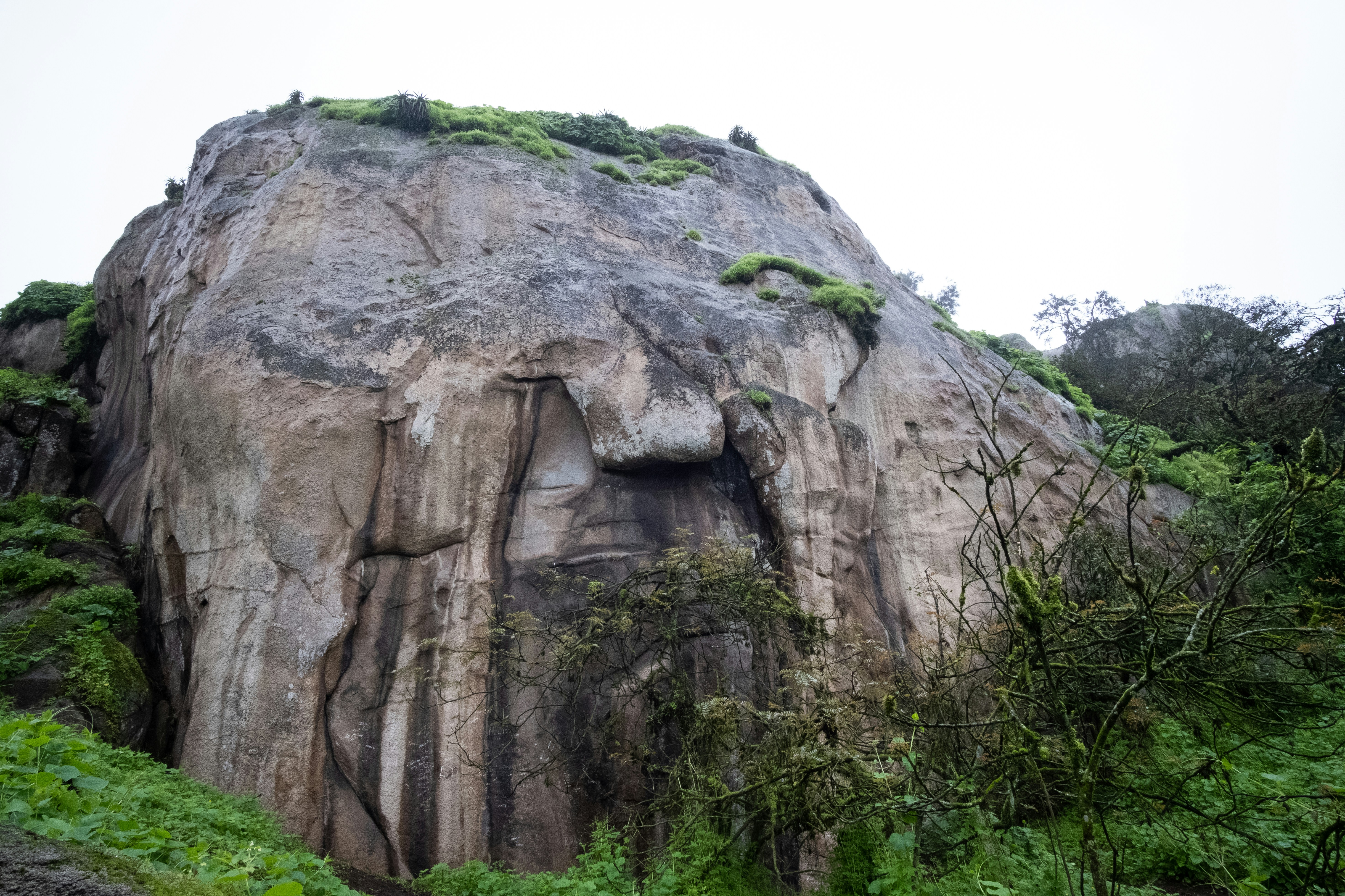 Massive rock face adorned with lush green moss and vegetation against a cloudy sky.