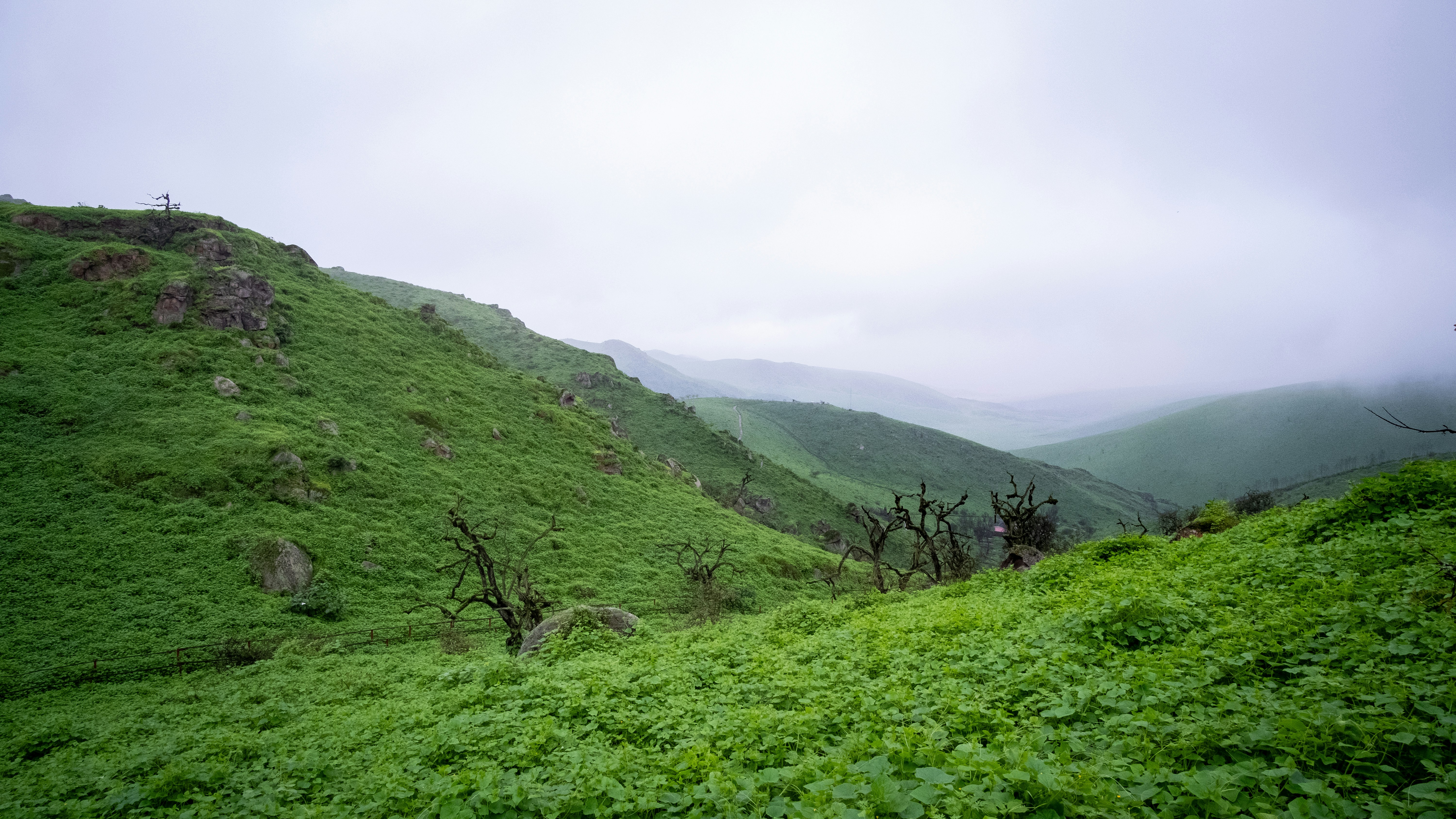 Photo by Samantha Hare with Fujifilm X-T20