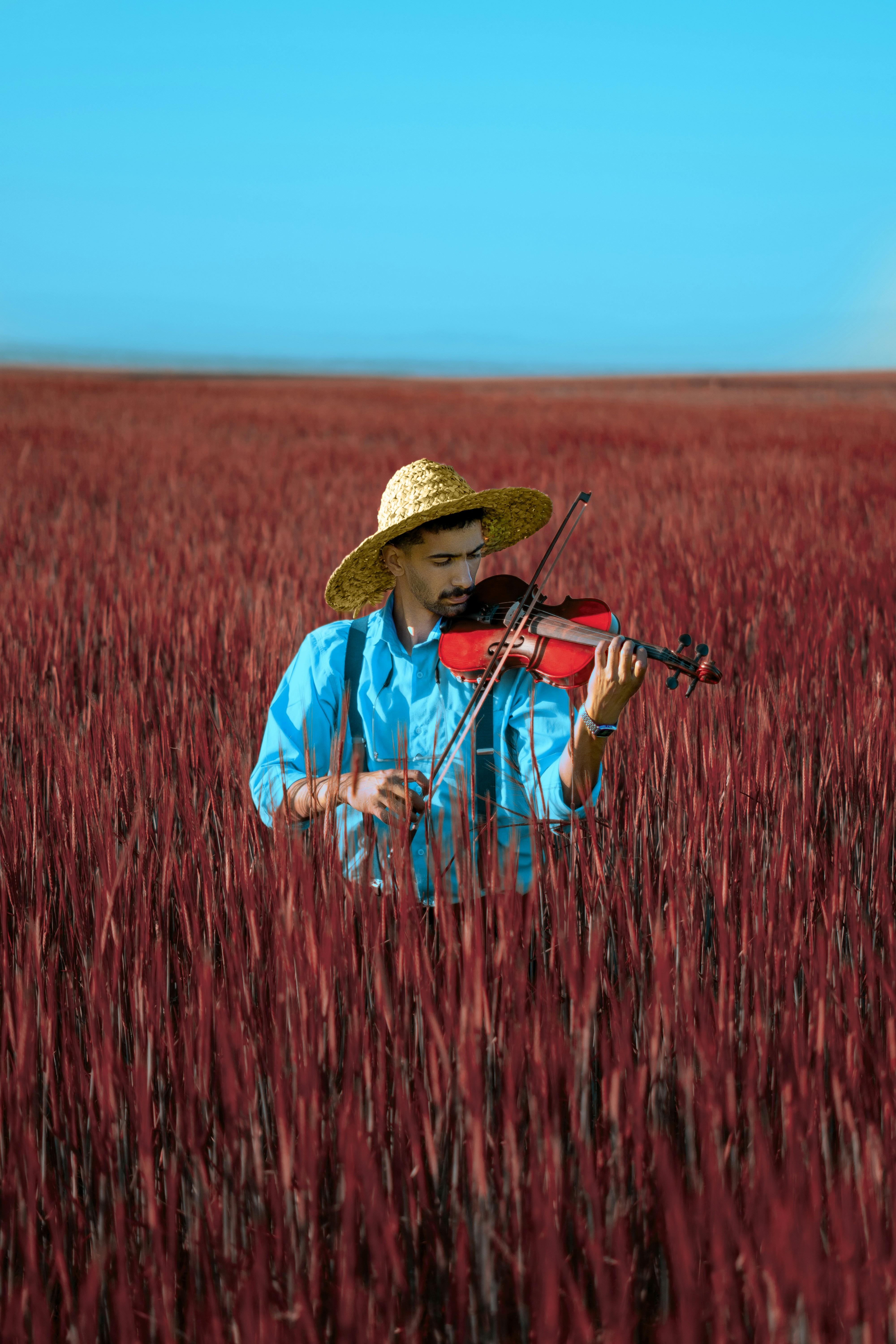 Crimson Meadow Sonata: Violinist in a Straw Hat Amid a Field of Red Grass
