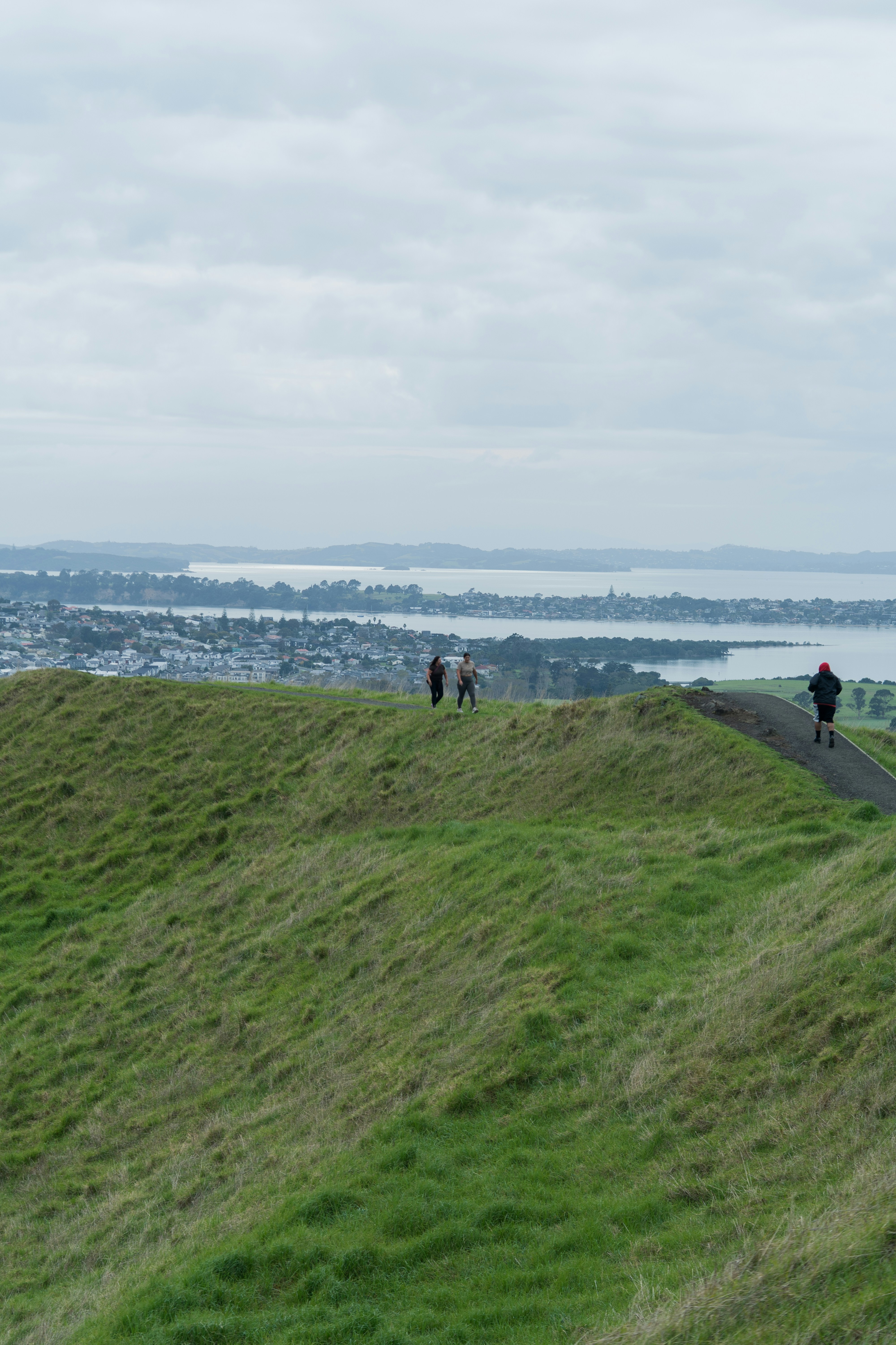 Two Walkers on a Wind-Swept Hill Overlooking the Coastal City